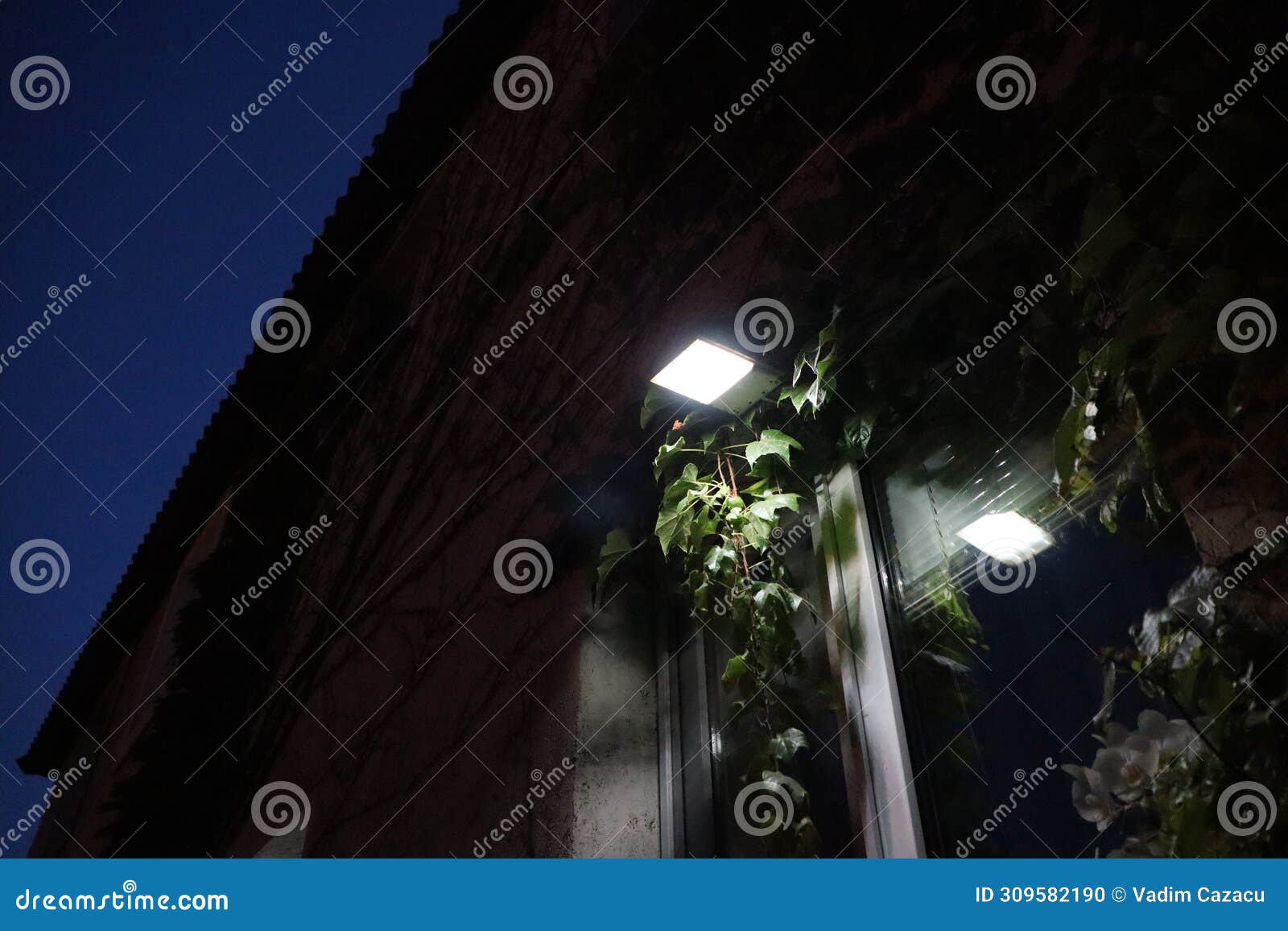 The Solar Flashlight Automatically Turned on when it Got a Little Dark ...