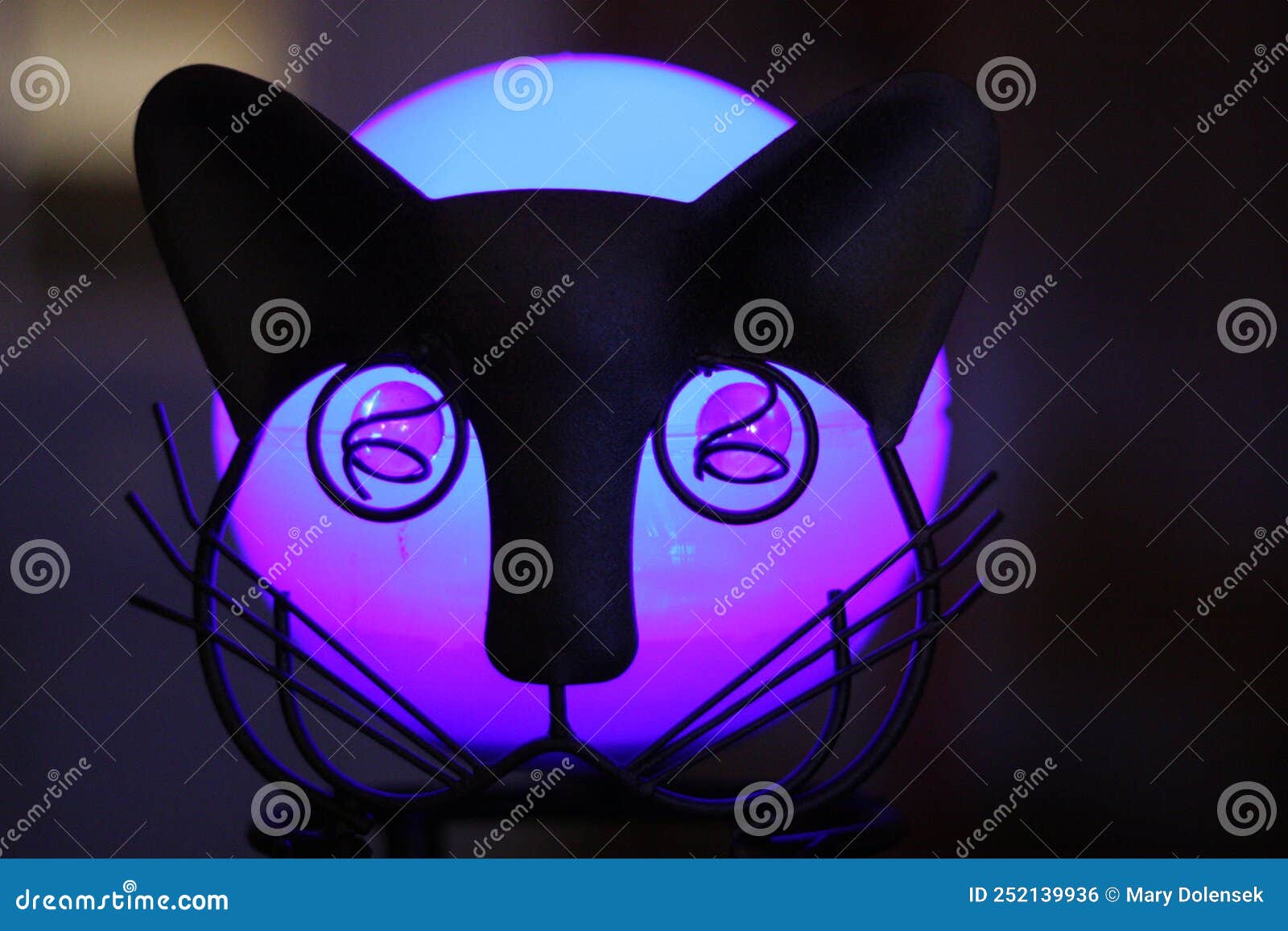 Solar Glowing Purple and Blue Cat at Night Stock Photo - Image of night ...