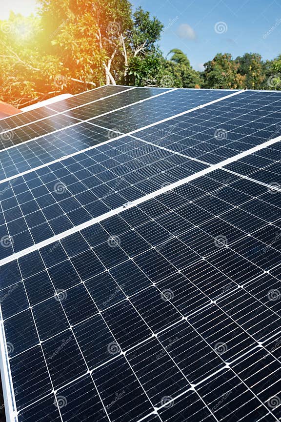 Solar Panel Array Installation Stock Photo - Image of plant, generation ...