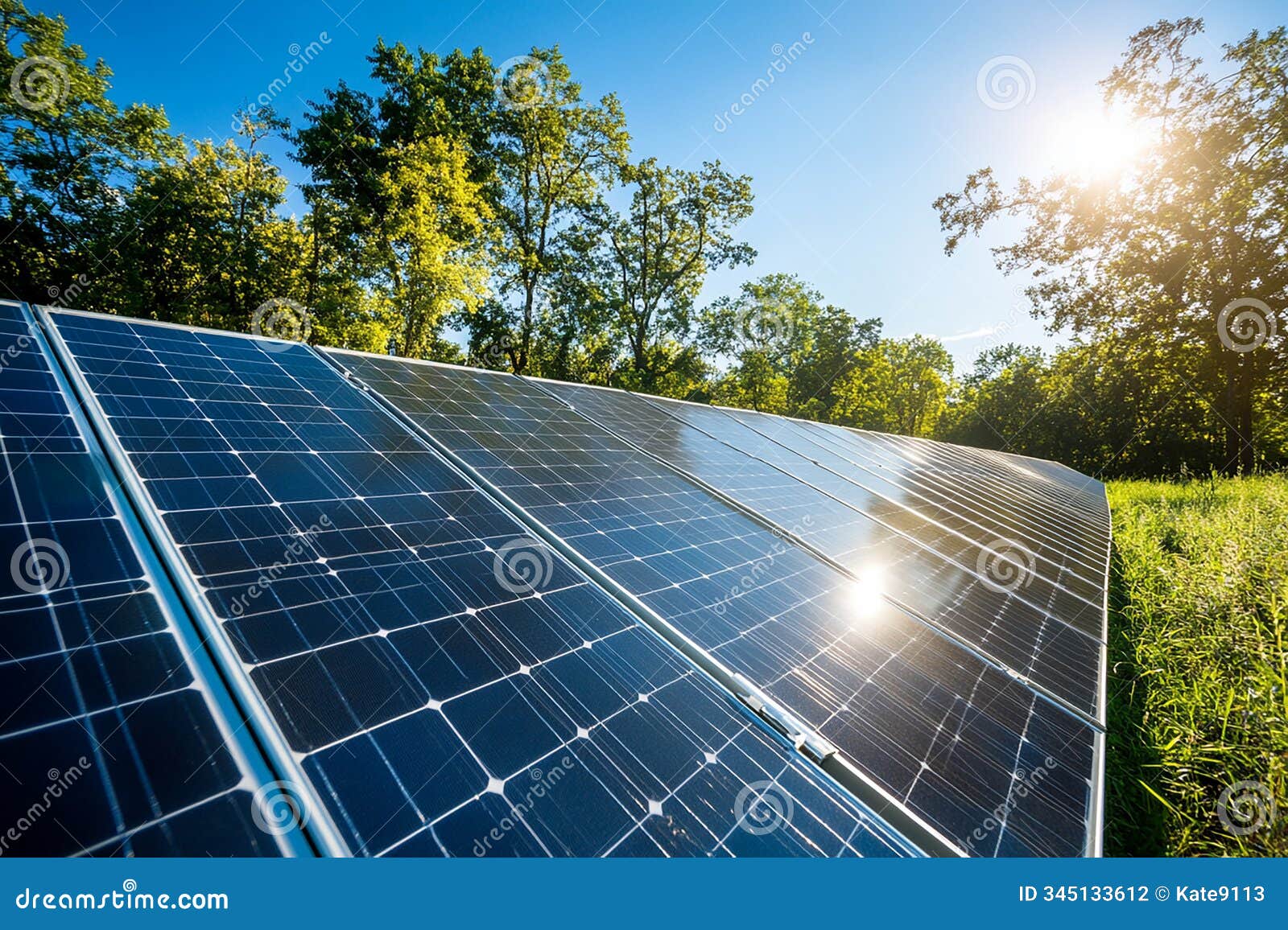 A Solar Panel Array is Shown in a Field with Trees in the Background ...