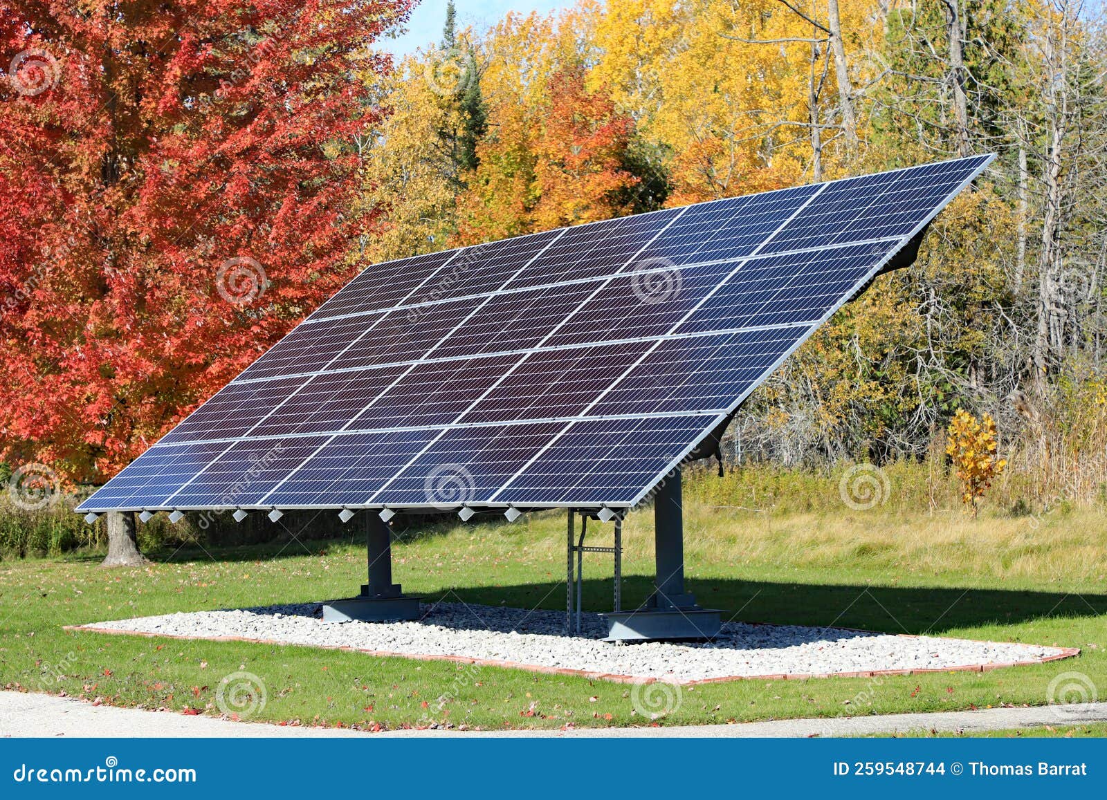 Solar Panel stock photo. Image of panel, grid, electric - 259548744