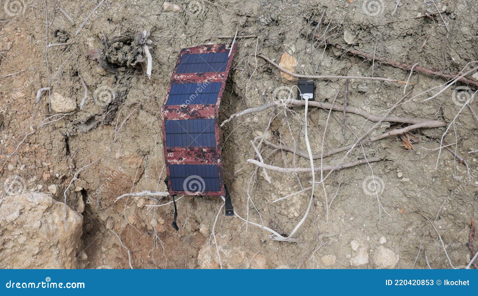 The Solar Panel Charges a Battery in the Roots of Trees on an Earthen ...