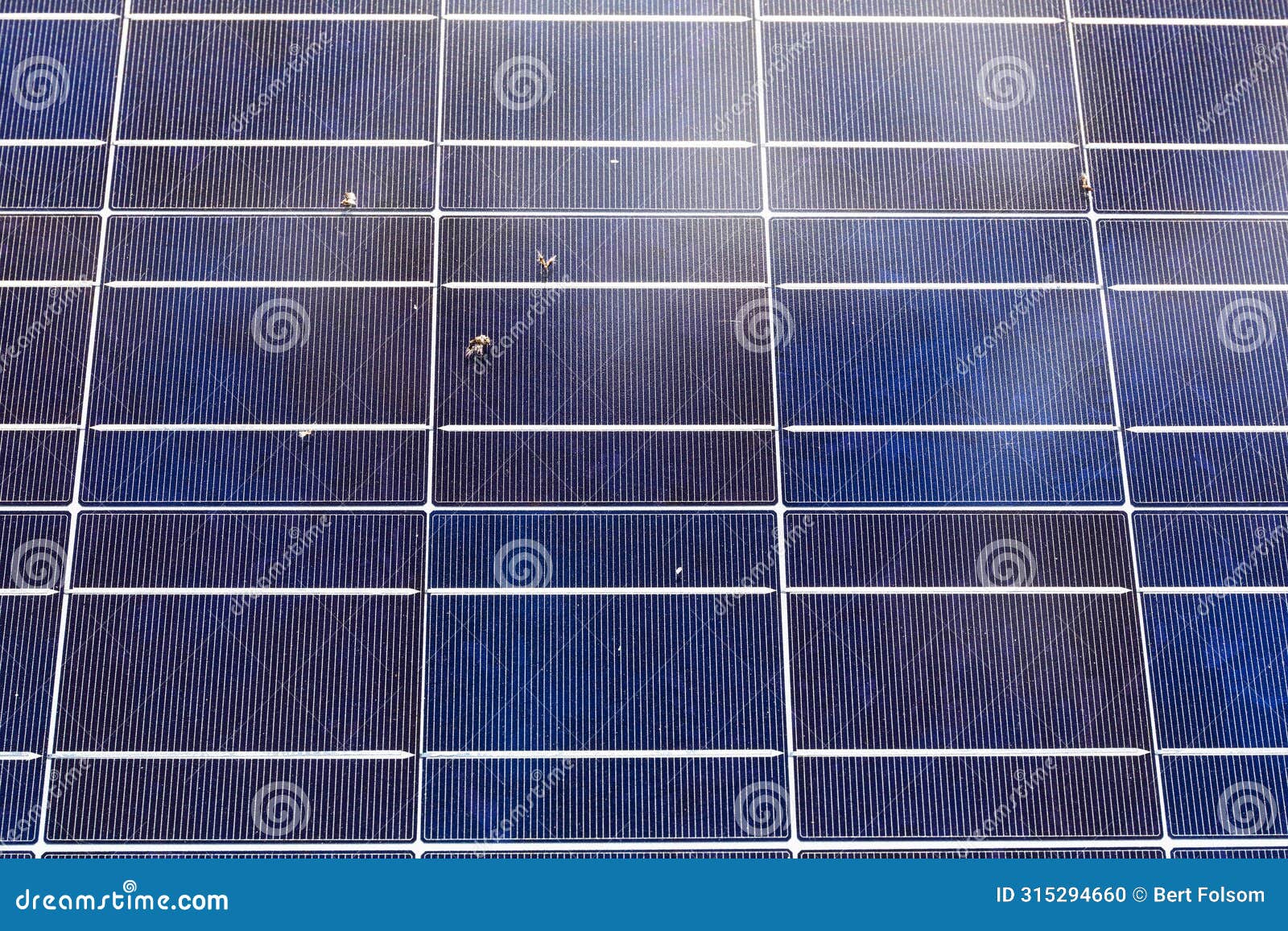 Close View of a Solar Panel with Pollen and Dirt Stock Photo - Image of ...