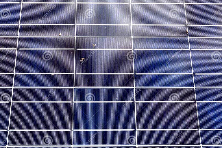 Close View of a Solar Panel with Pollen and Dirt Stock Photo - Image of ...