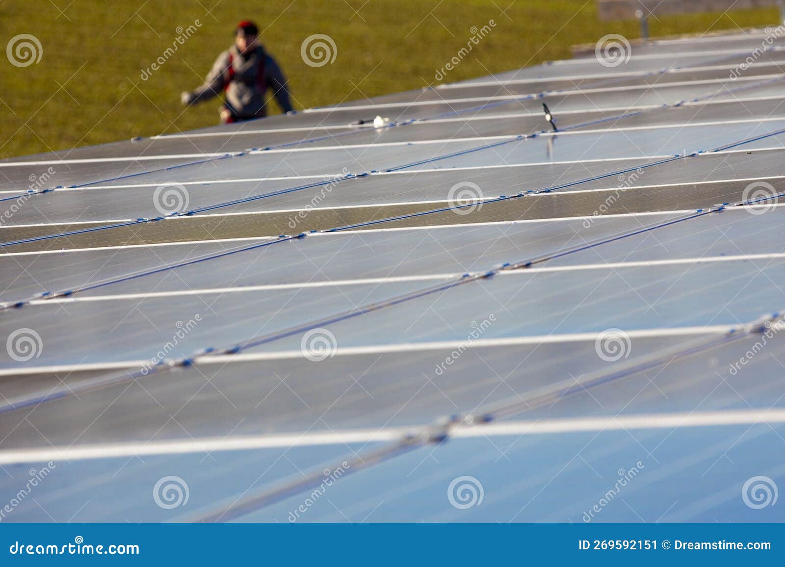 Solar Panel And Energy Transition Editorial Photo | CartoonDealer.com ...
