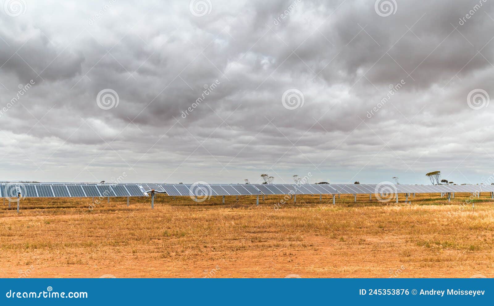 Solar Panel Farm during an Overcast Day Stock Photo - Image of ...