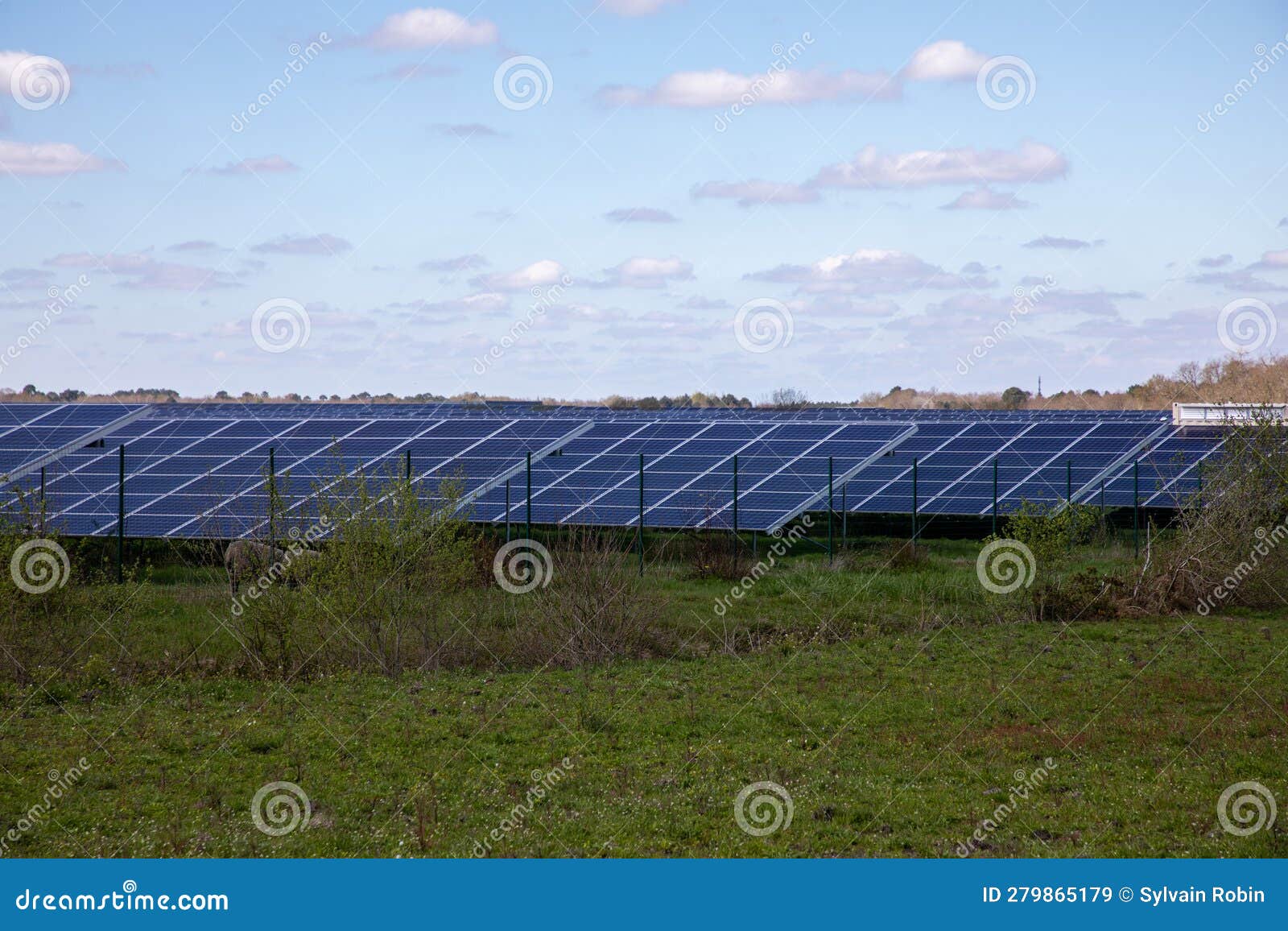 Solar Panel Farm Produces Green Environmentally Friendly Energy Stock ...