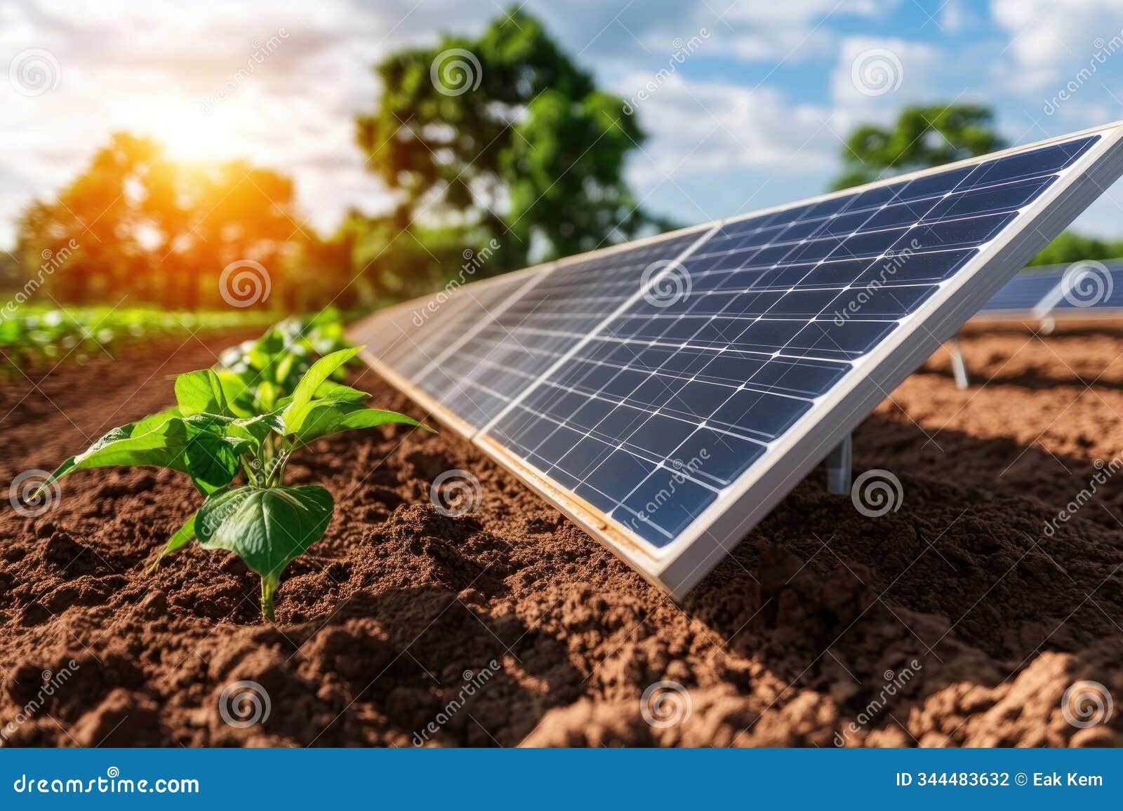 Solar Panel Farm Renewable Energy Data Visualizations, Eco Metrics ...