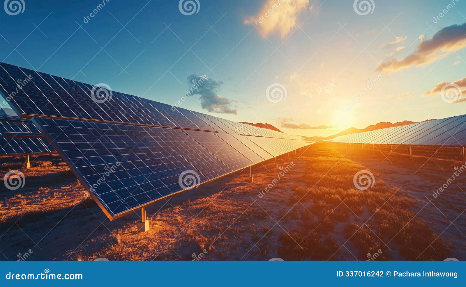 A Solar Panel Field with the Sun Setting in the Background Stock ...