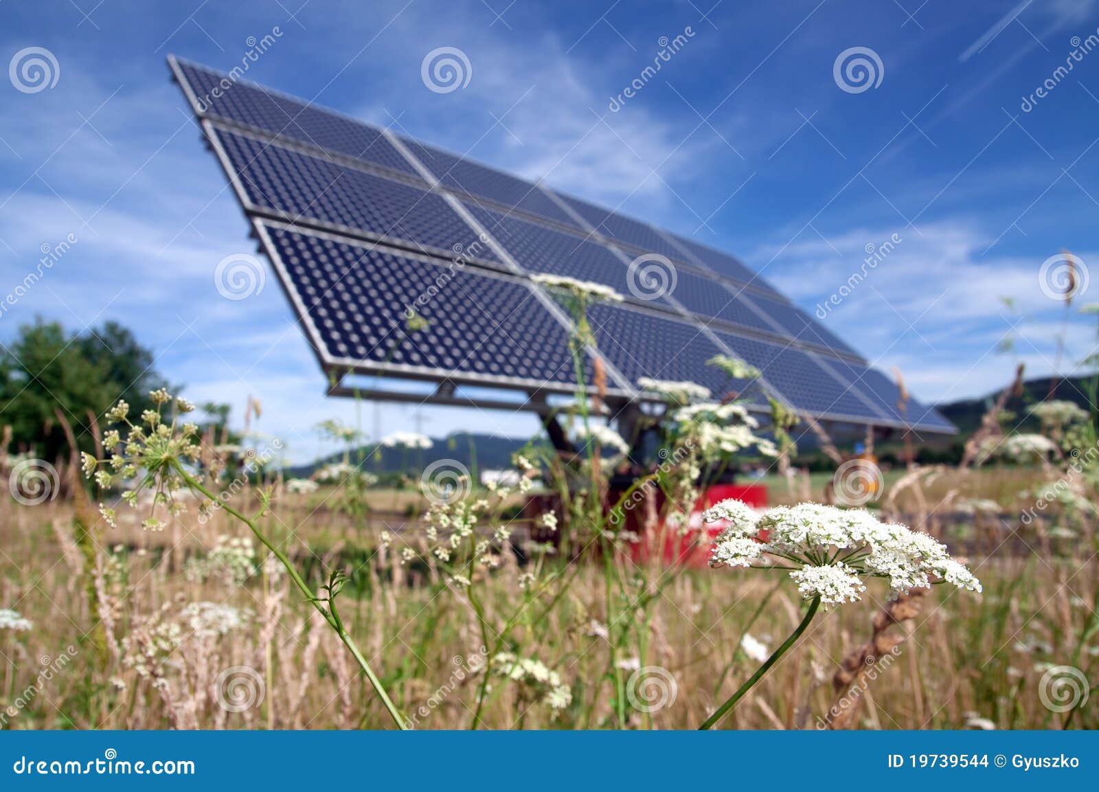 Solar panel and flower stock photo. Image of change, rural - 19739544