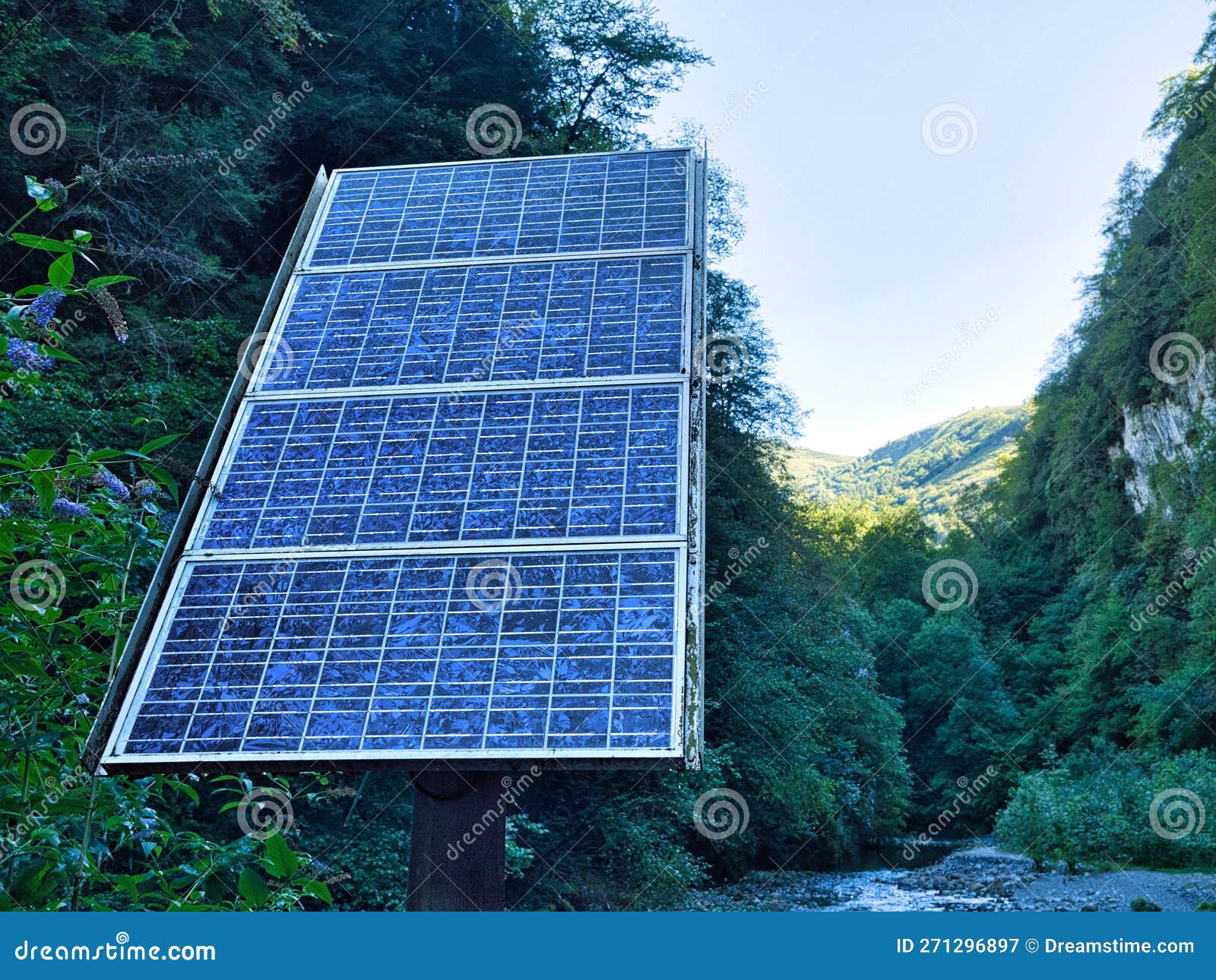 Solar panel stock image. Image of forest, green, ecology - 271296897