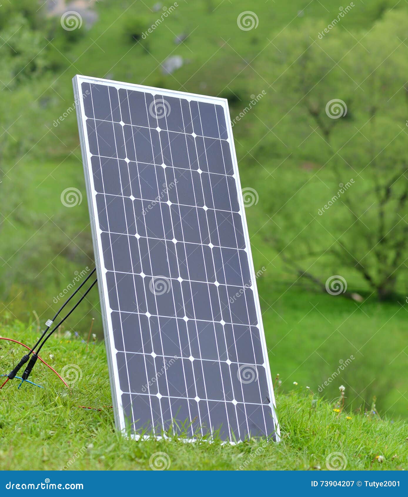 Solar Panel on Green Meadow in Spring Stock Image - Image of fuel ...
