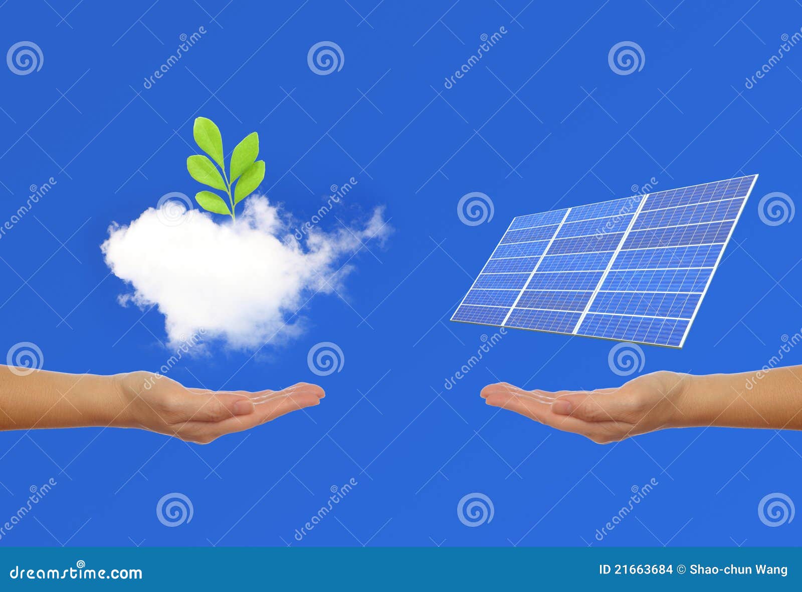 Solar Panel with Hand, Green Plant, Sky and Cloud Stock Photo - Image ...