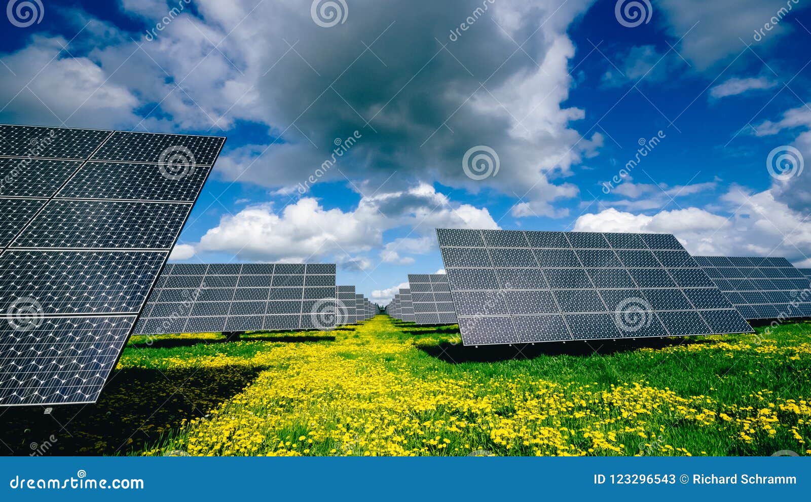 Solar panel stock image. Image of solar, meadow, protection - 123296543