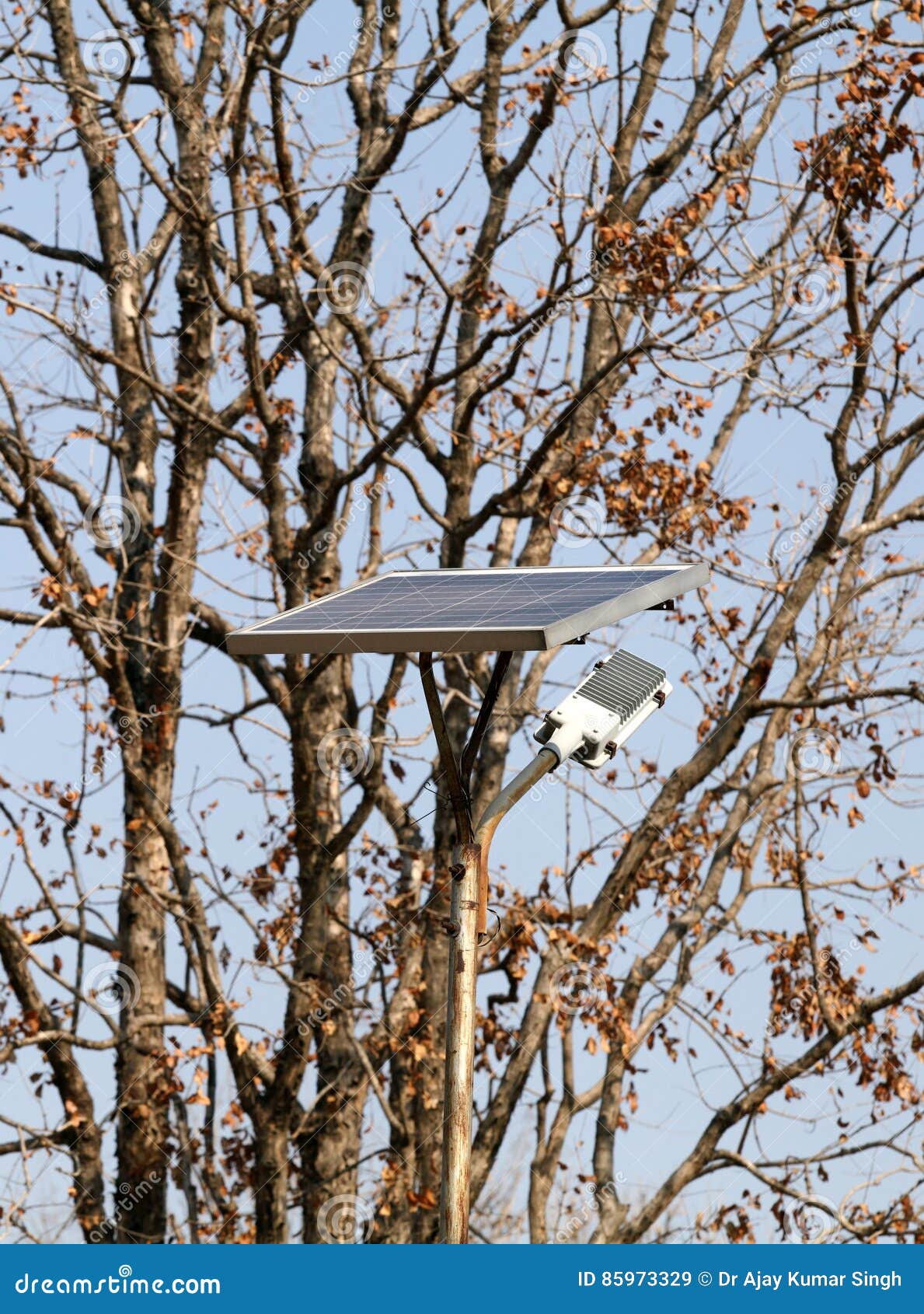 Solar Panel in Pench Tiger Reserve Stock Image - Image of national ...