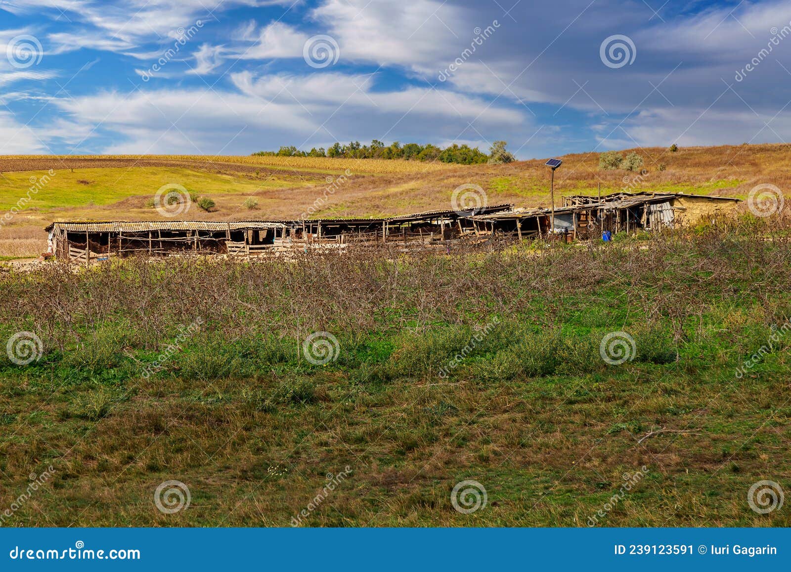 Poor Farm. Madhya Pradesh Royalty-Free Stock Photography ...