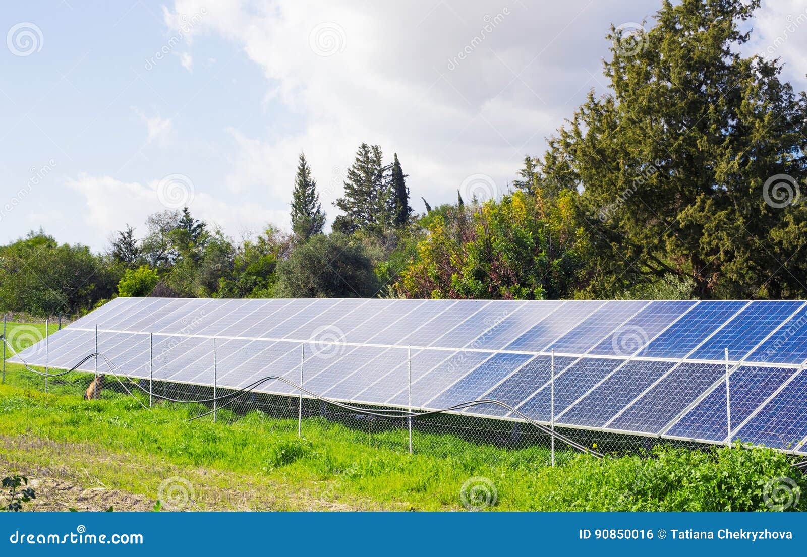 Solar Panel Produces Green, Environmentally Friendly Energy from the ...