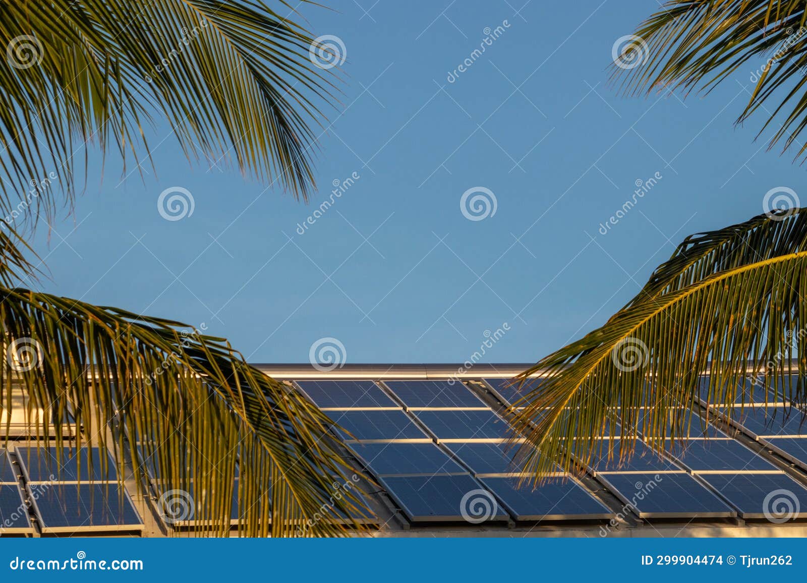 Solar Panel on a Roof in the Tropics Stock Photo - Image of panel ...