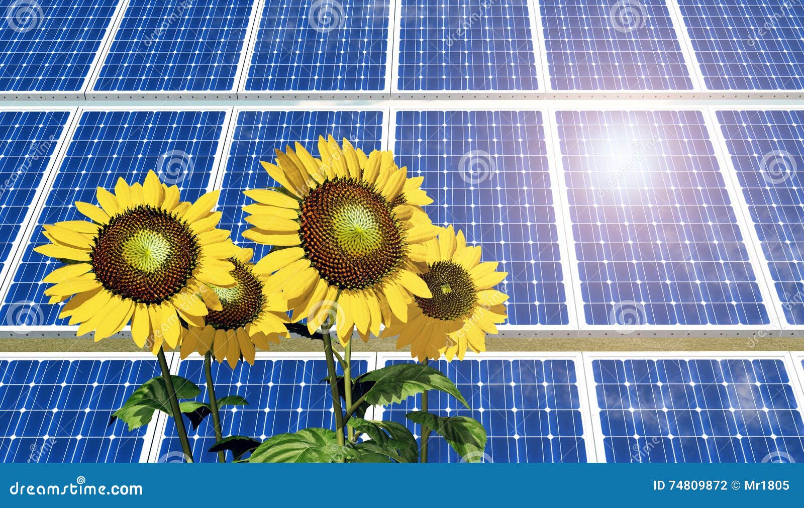 Solar panel and sunflowers stock illustration. Illustration of module ...