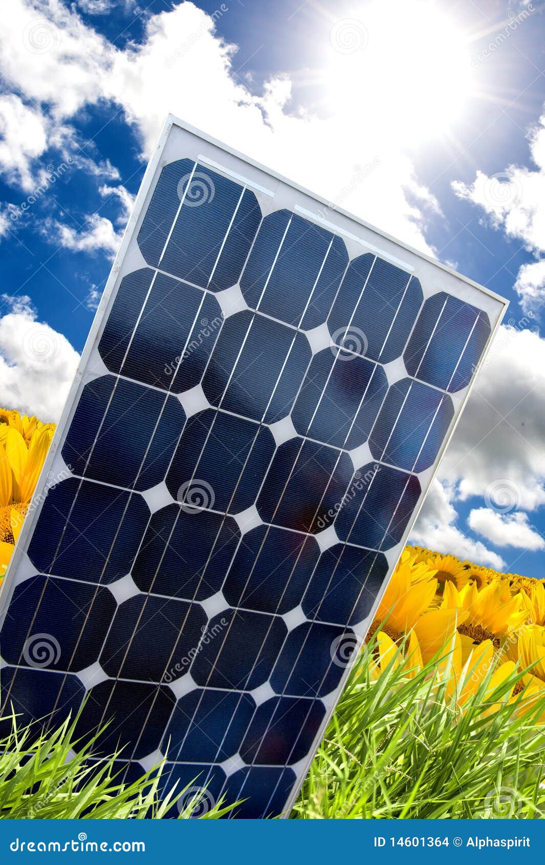 Solar panel and sunray stock photo. Image of flora, power - 14601364