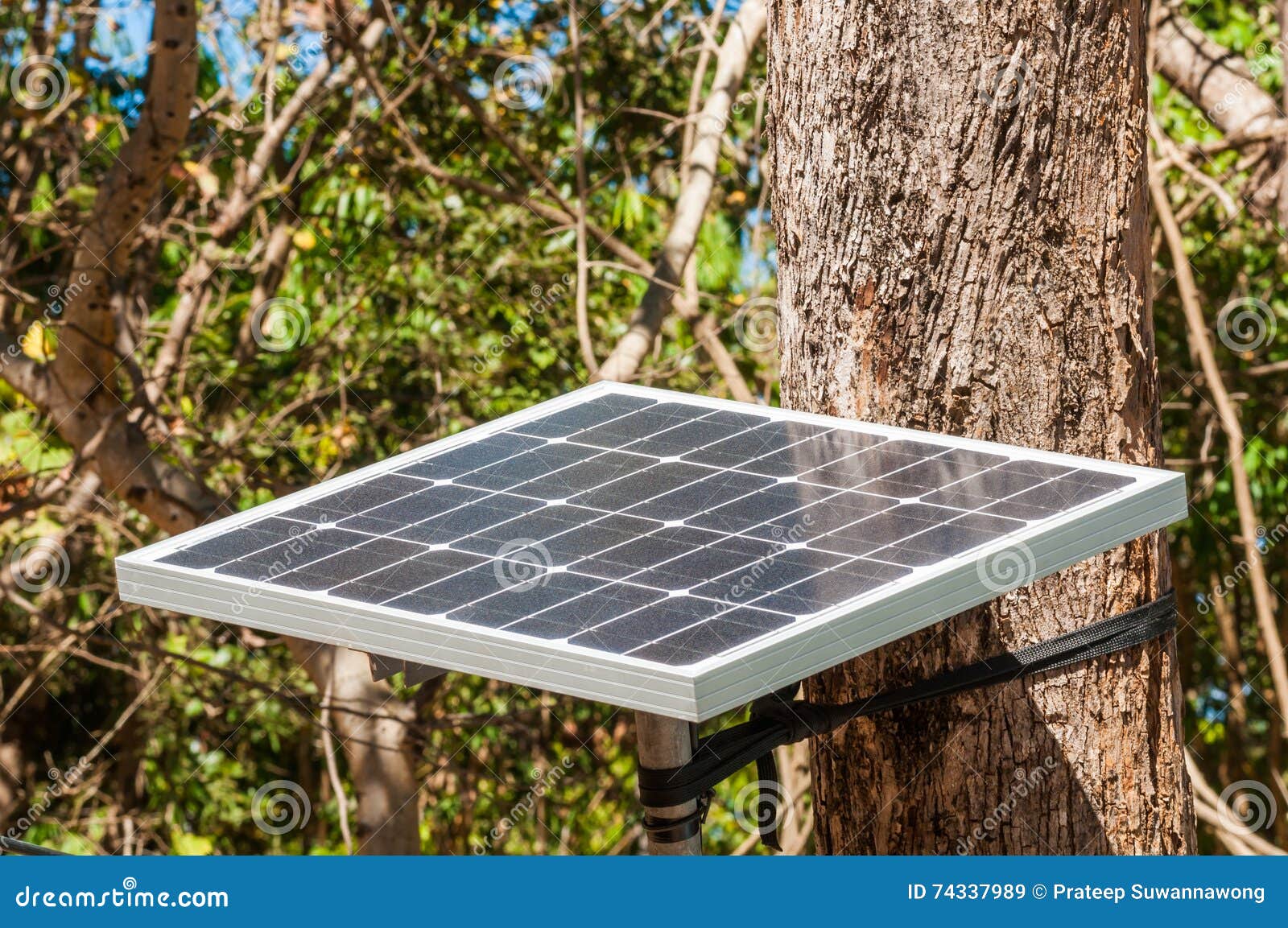Solar Panel with Tree Background Stock Image - Image of photovoltaic ...