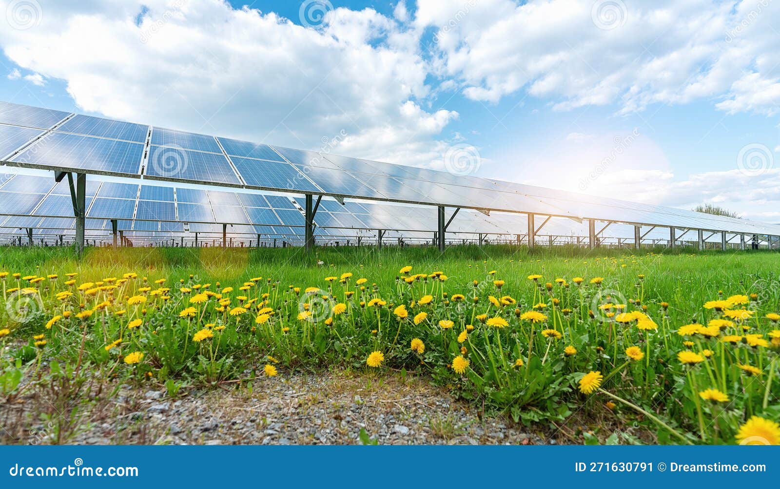 Solar Panel Under Blue Sky with Sun. Dandelion Meadow and Cloudy Sky ...