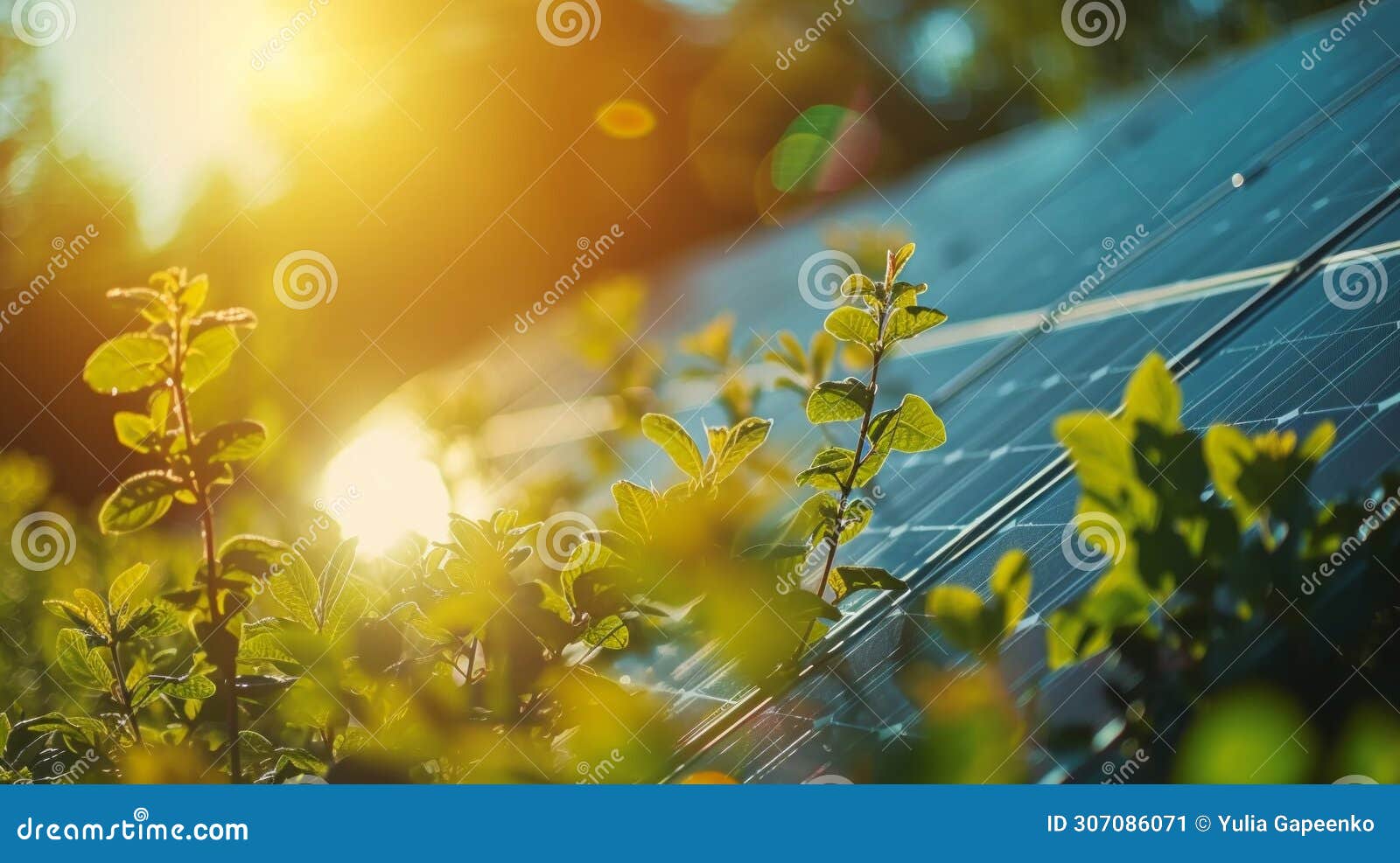 A Solar Panel Under the Bright Sun, Harnessing Energy with the Promise ...