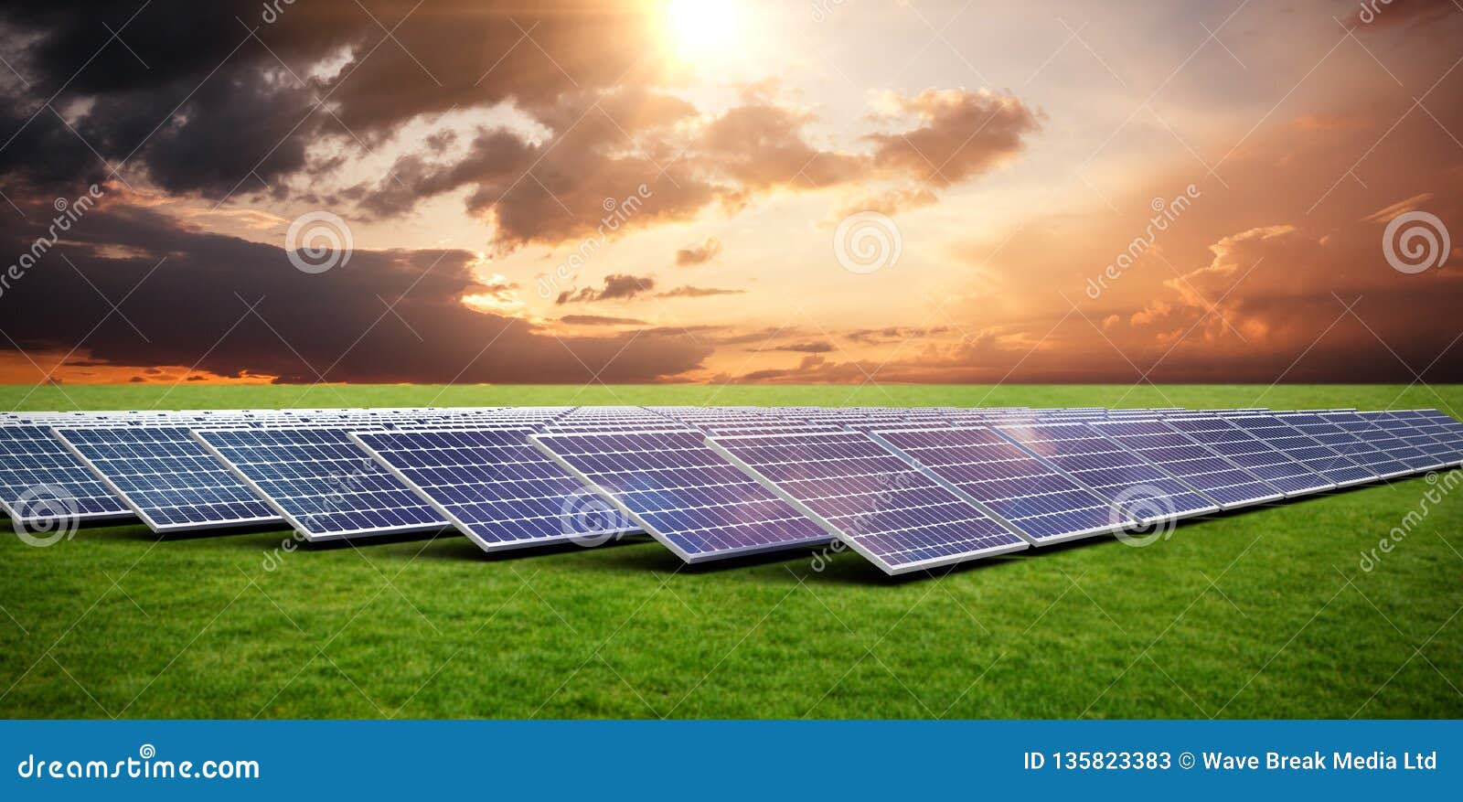 Solar Panels In A Field Of Grass Vector Illustration | CartoonDealer ...