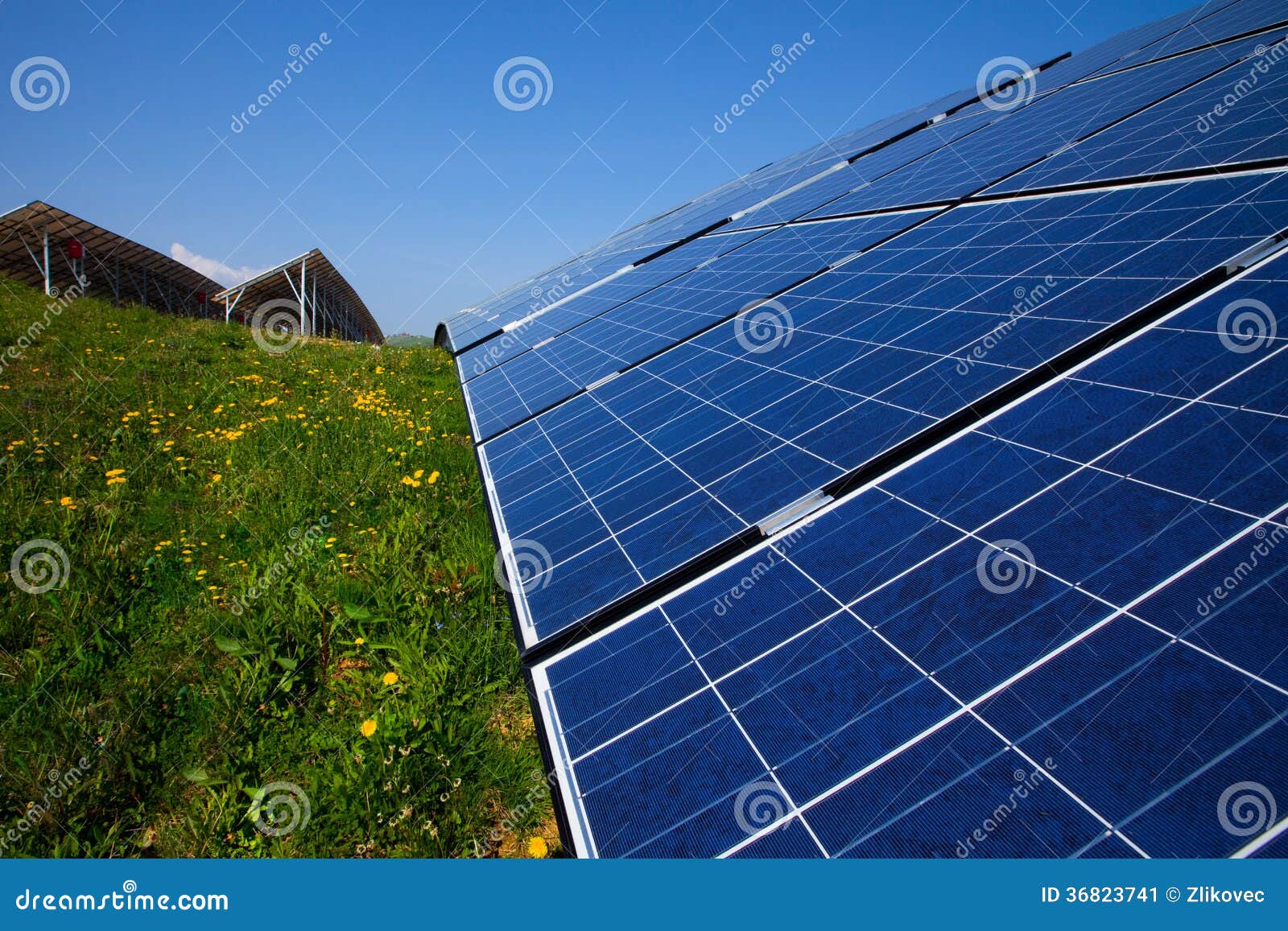 Solar Panels, Blue Sky and Green Grass Stock Image - Image of energy ...