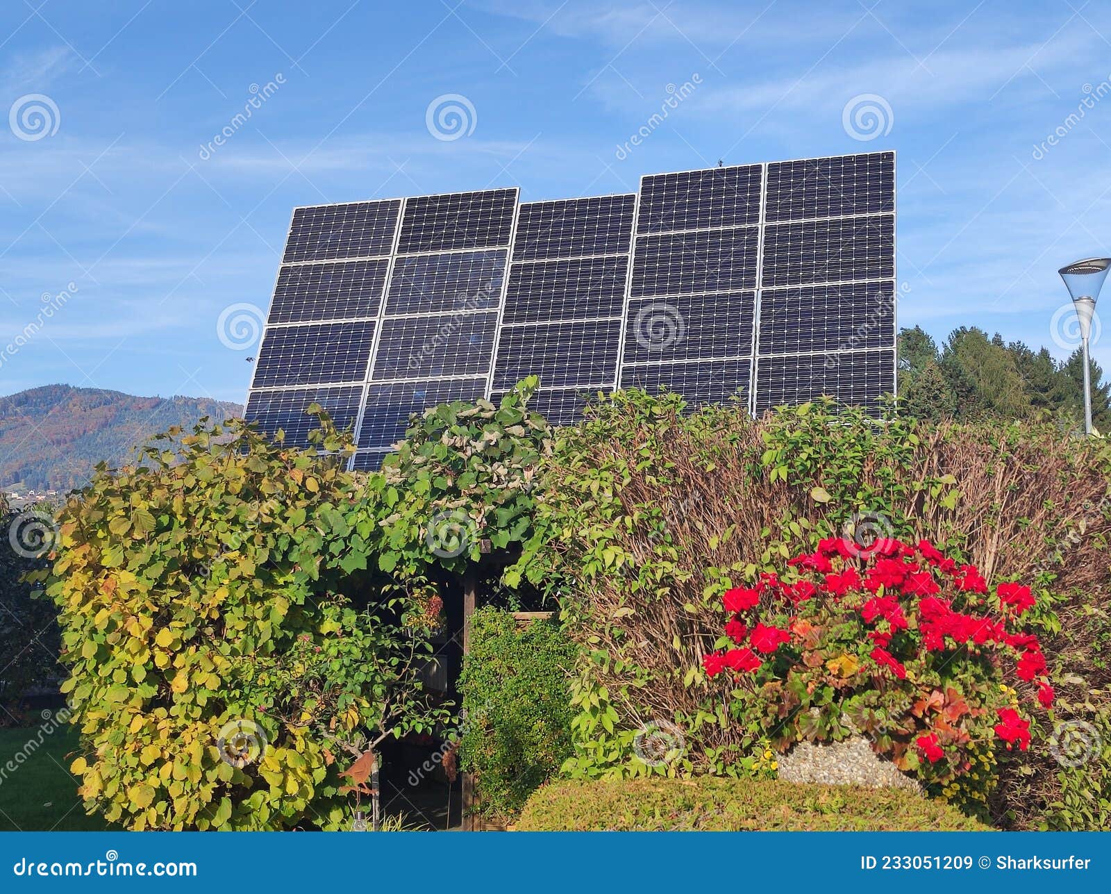 Solar Panels Controlled Automatically Moving with Sun Direction Stock ...