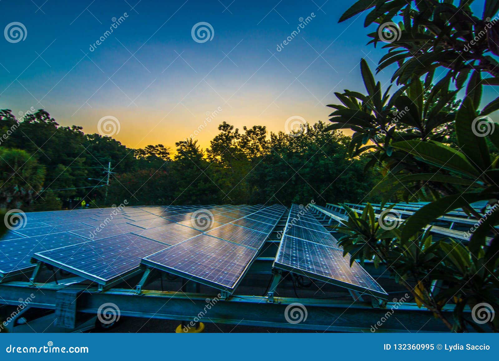 Solar panels at dawn stock image. Image of florida, technology - 132360995