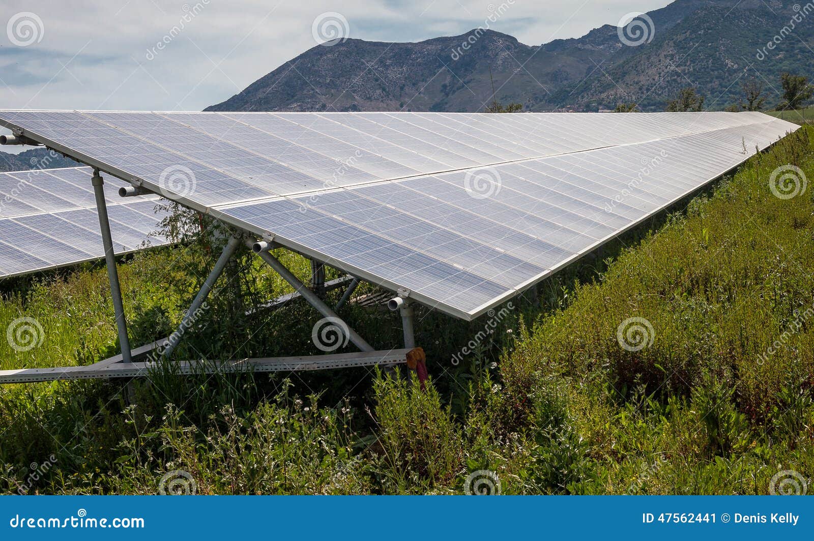 Solar Panels on Farmland - Renewable Energy Stock Image - Image of ...