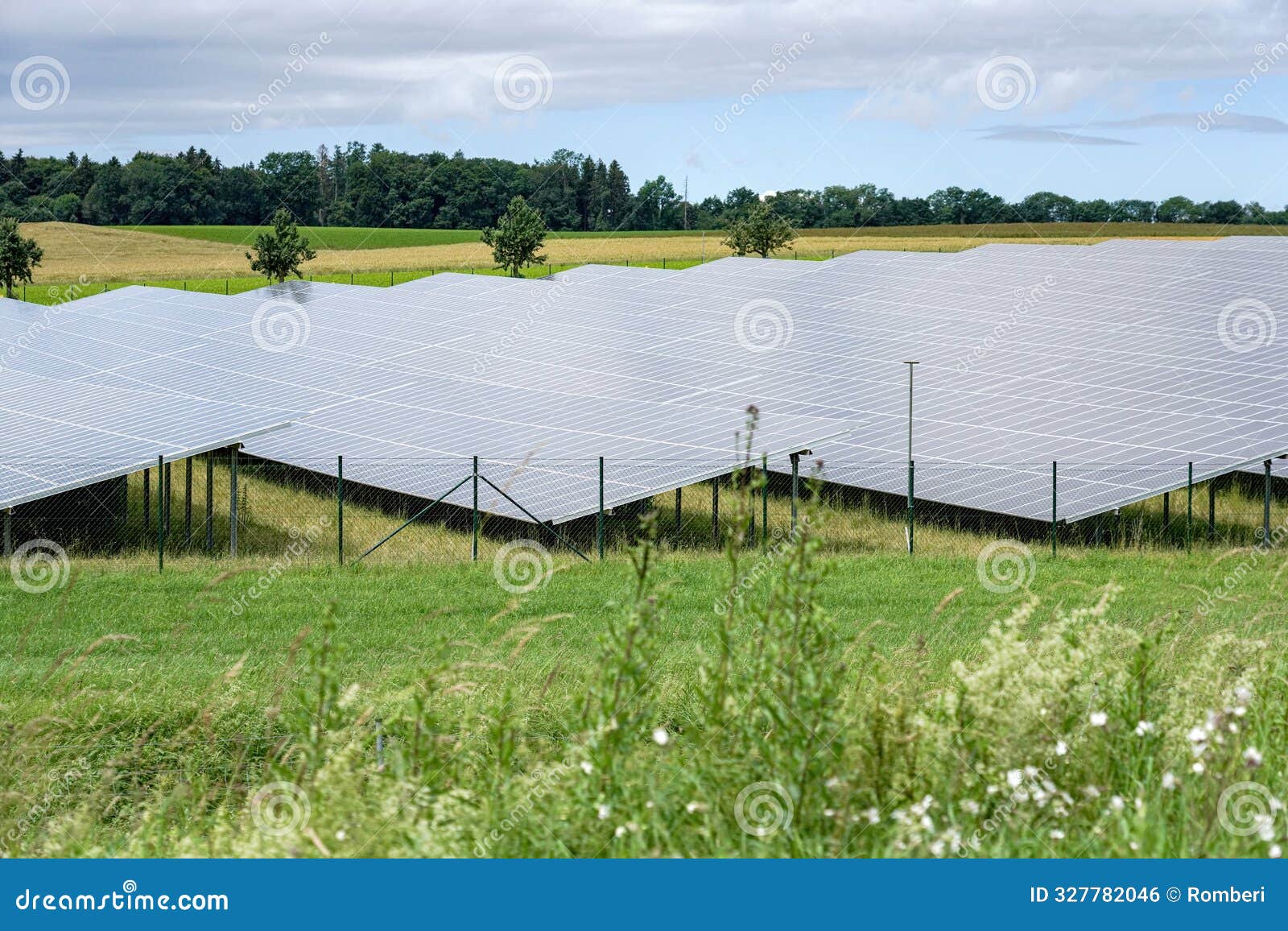 Solar Panels in a Field for Industrial Use of Electricity Stock Photo ...