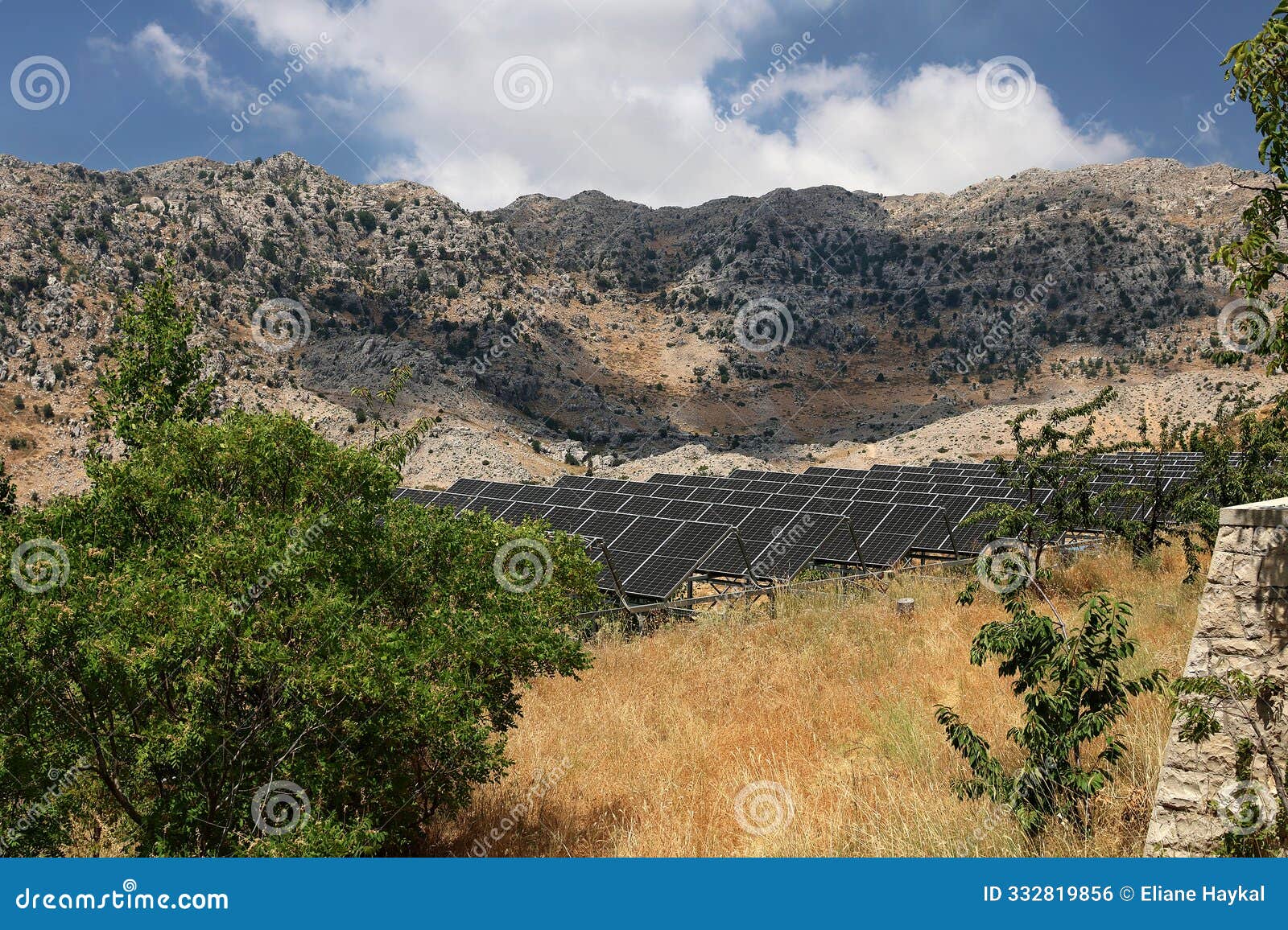 Solar Panels Field, Lebanon Stock Photo - Image of trees, sunlight ...