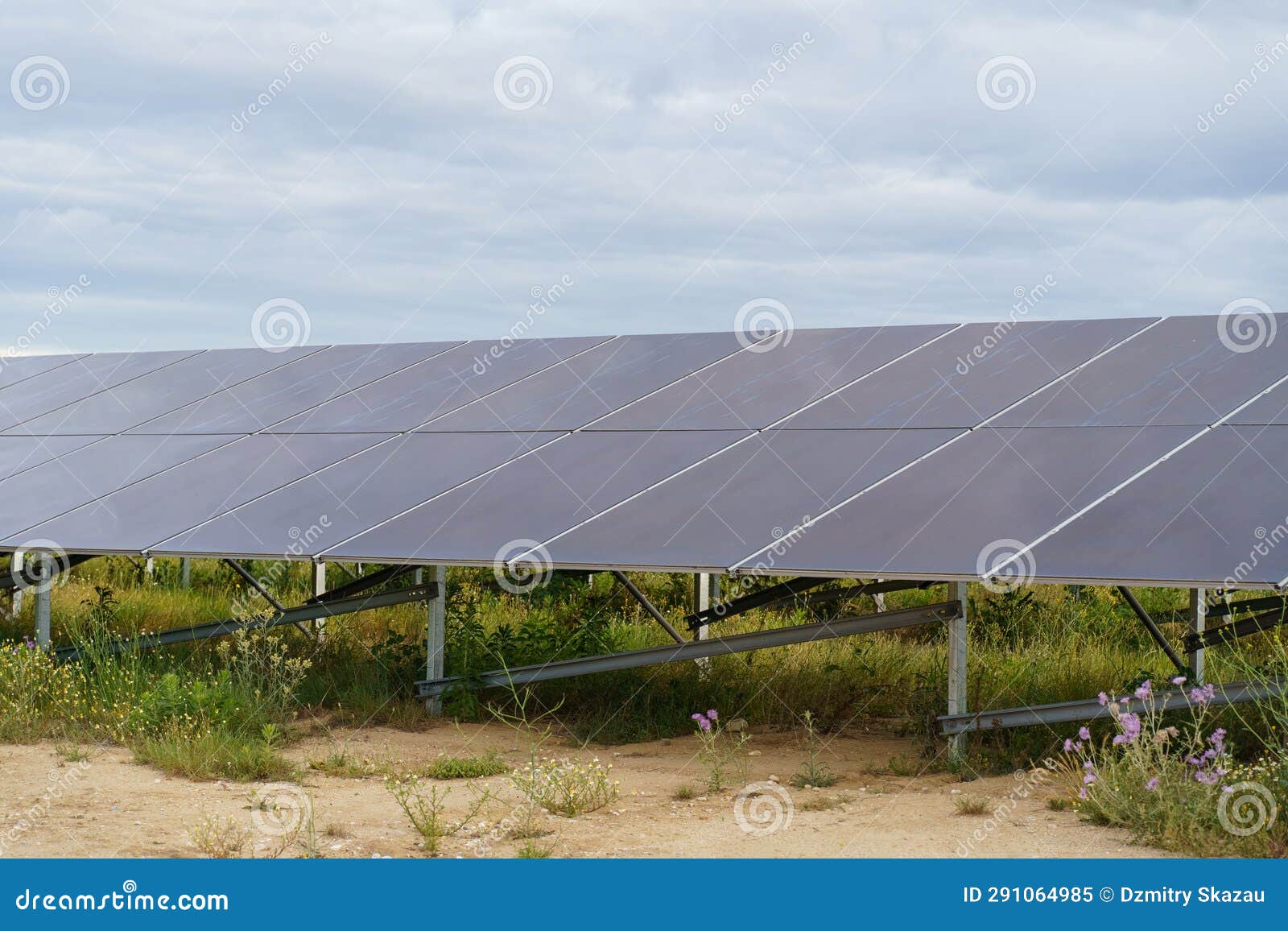 Solar Panels on the Field in Summer, Side View Stock Image - Image of ...