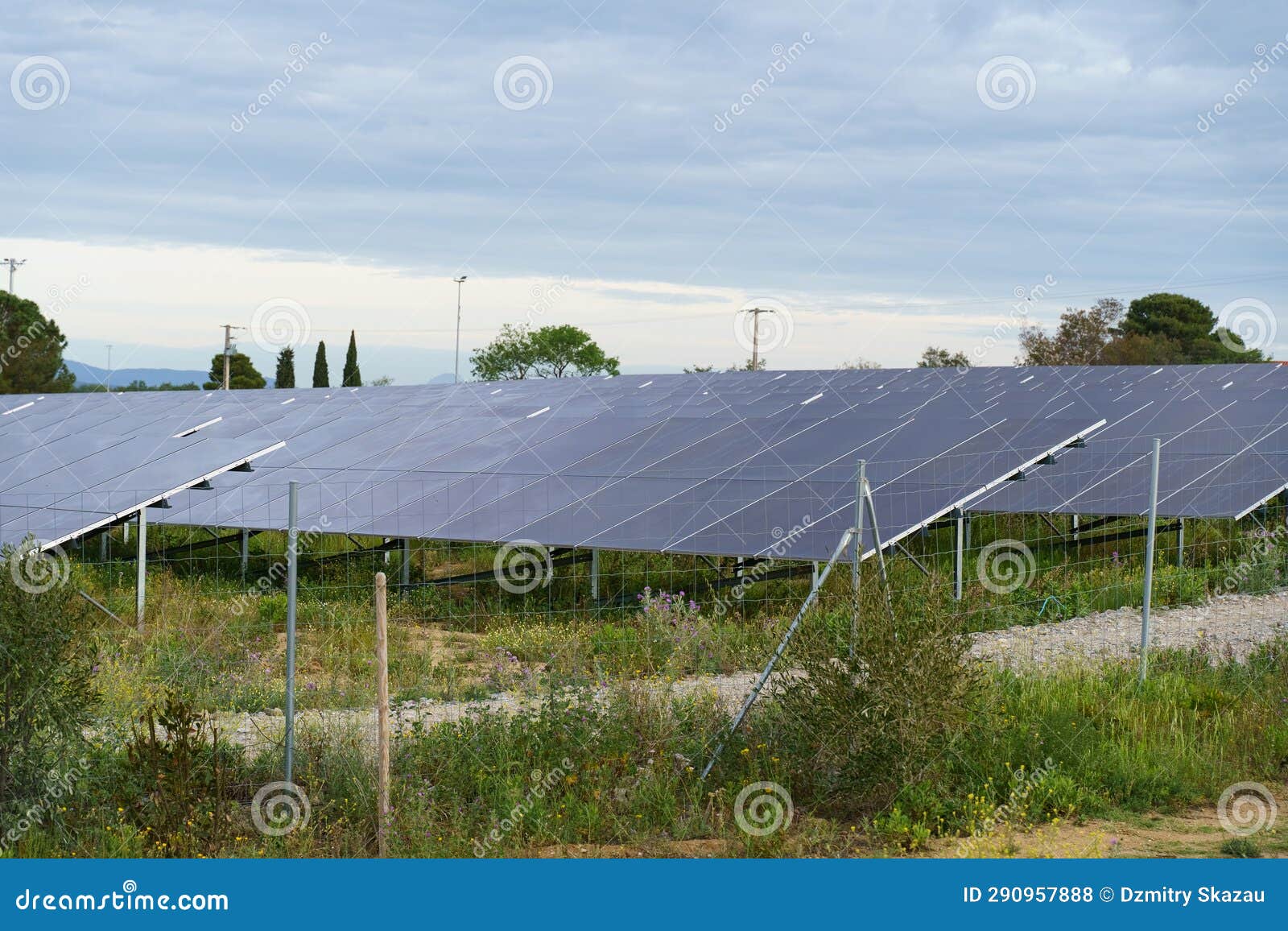 Solar Panels on the Field in Summer, Side View Stock Photo - Image of ...
