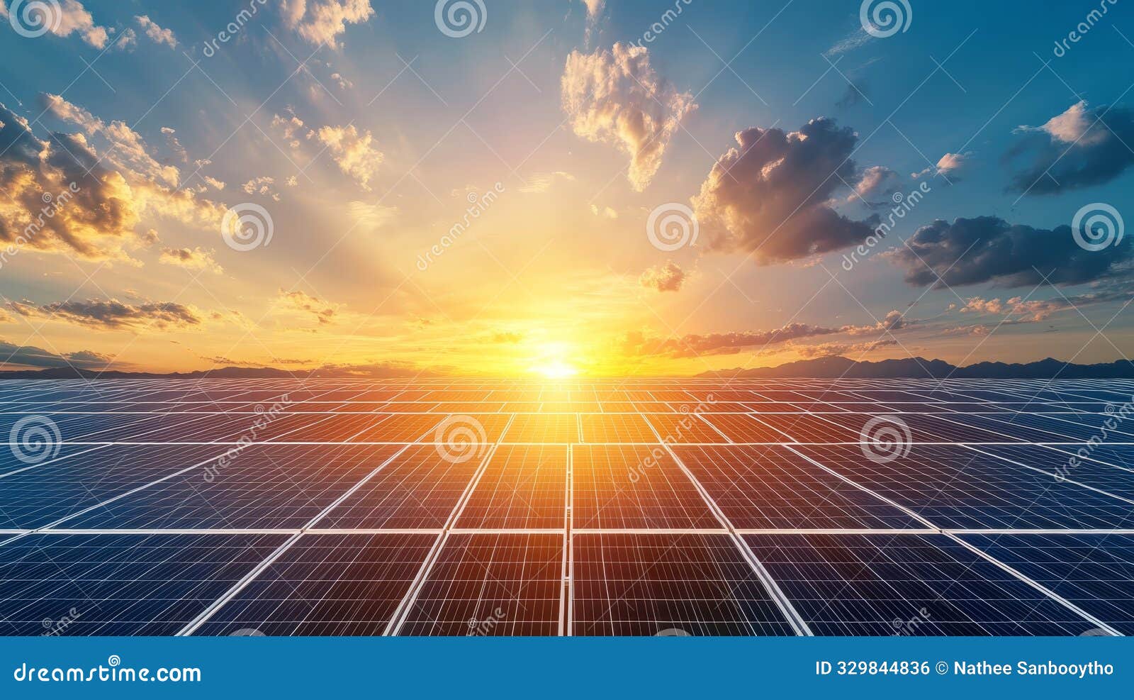 Solar Panels Field at Sunset Stock Illustration - Illustration of cells ...