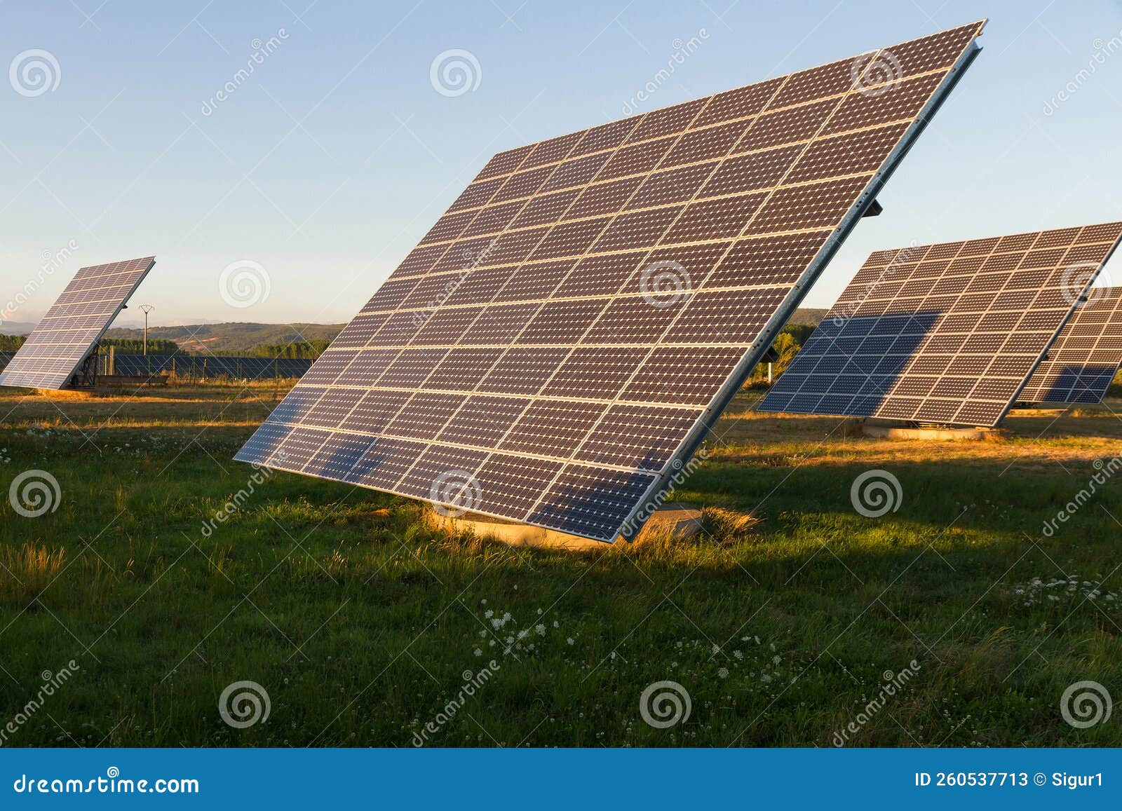 Solar Panels in the Field at Sunset Stock Image - Image of field ...