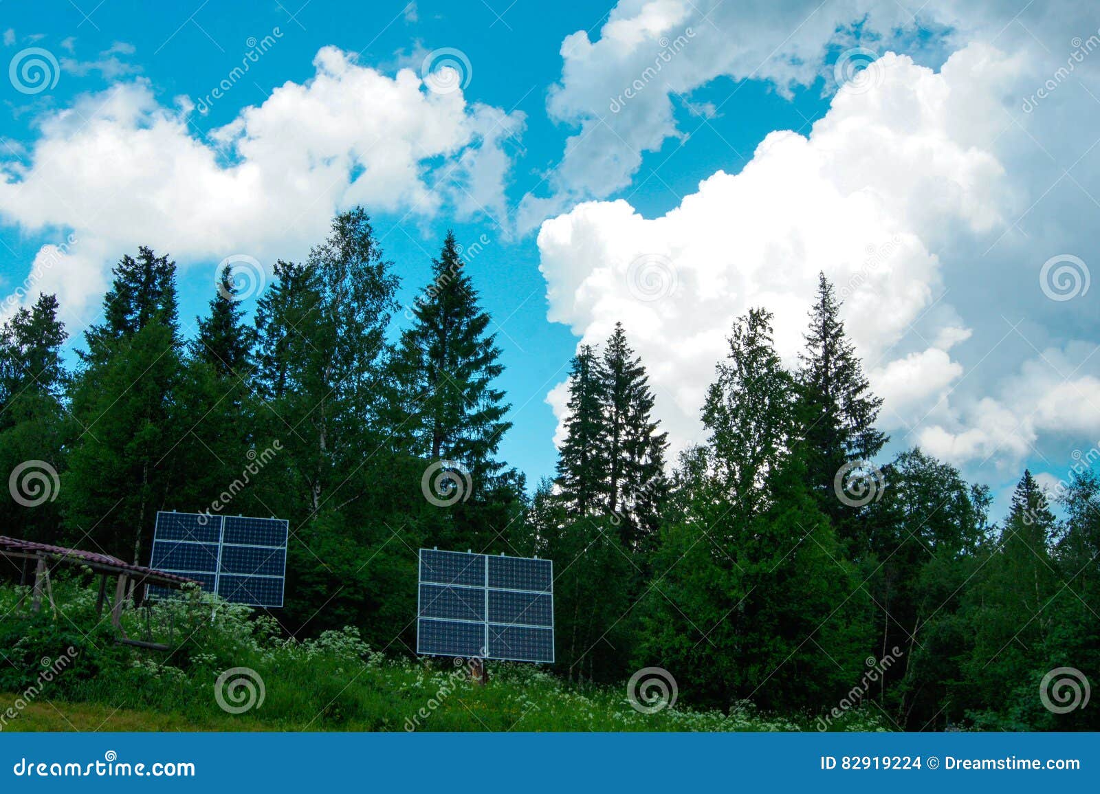 Solar panels in the forest stock photo. Image of electricity - 82919224