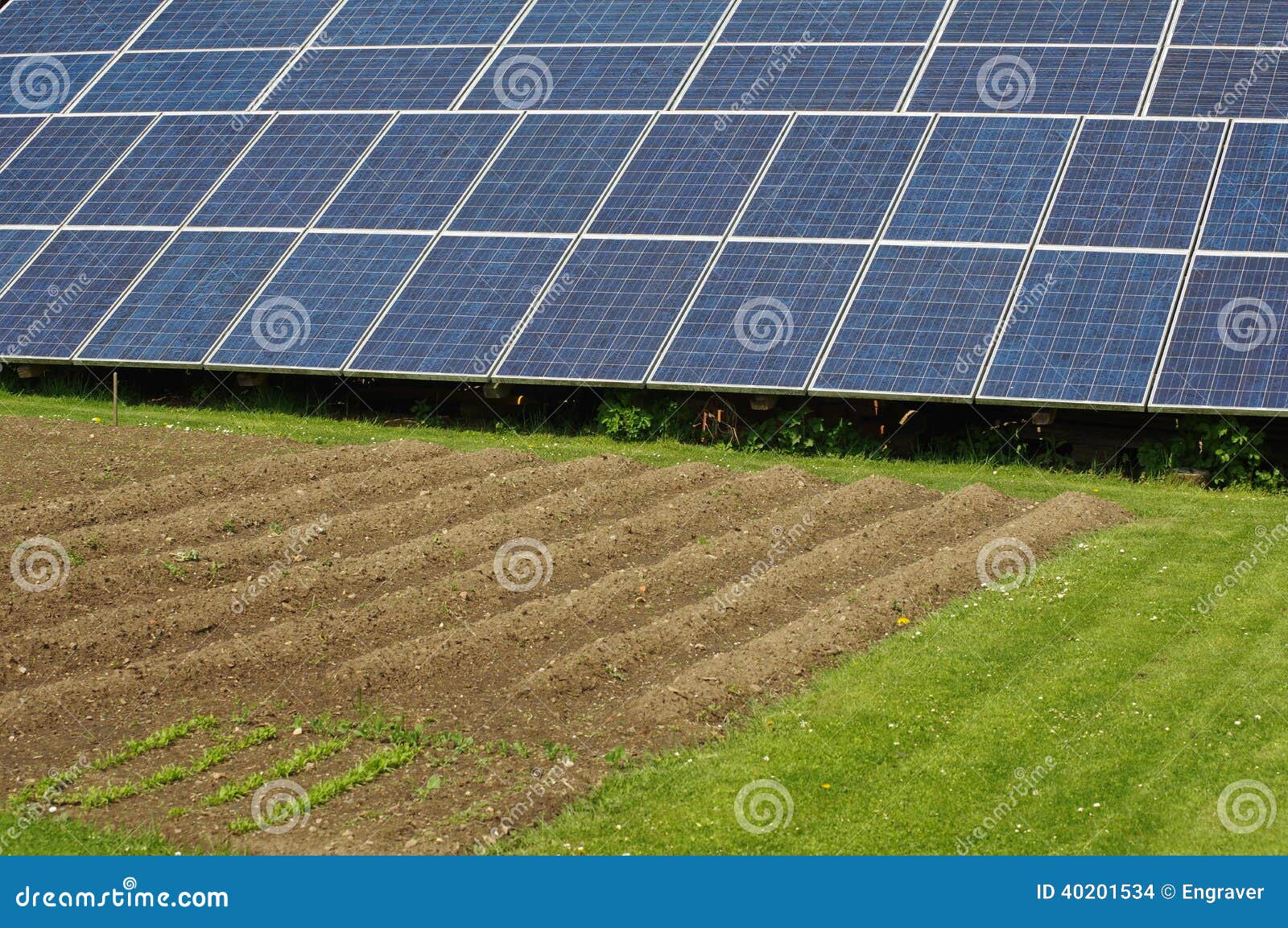 Solar Panels in the Garden 3 Stock Photo - Image of blue, environmental ...