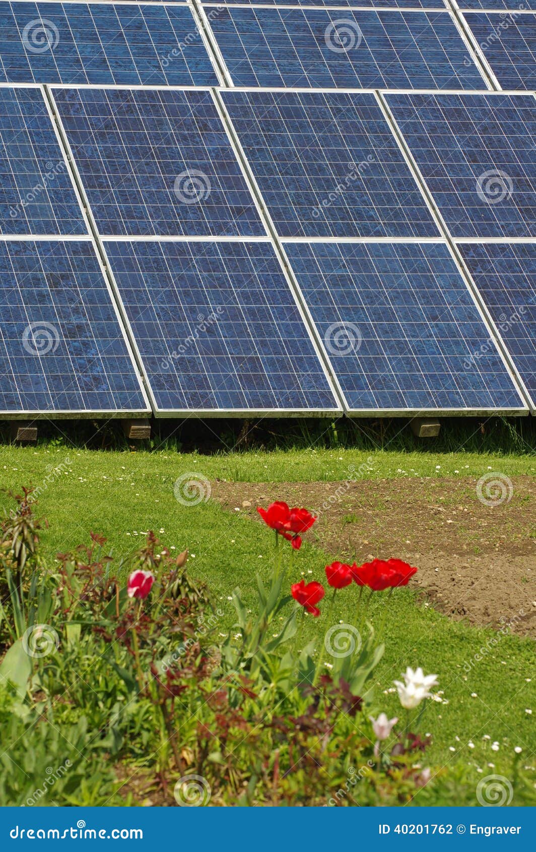Solar panels in the garden stock photo. Image of energy - 40201762