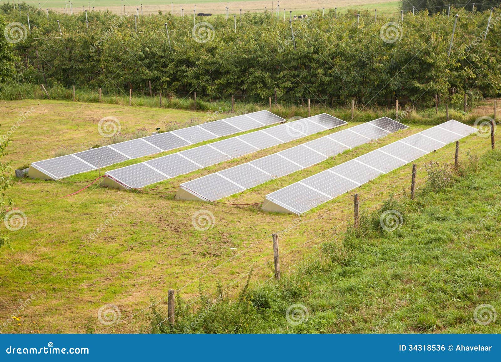 Solar Panels in the Grass of a Garden Stock Photo - Image of network ...