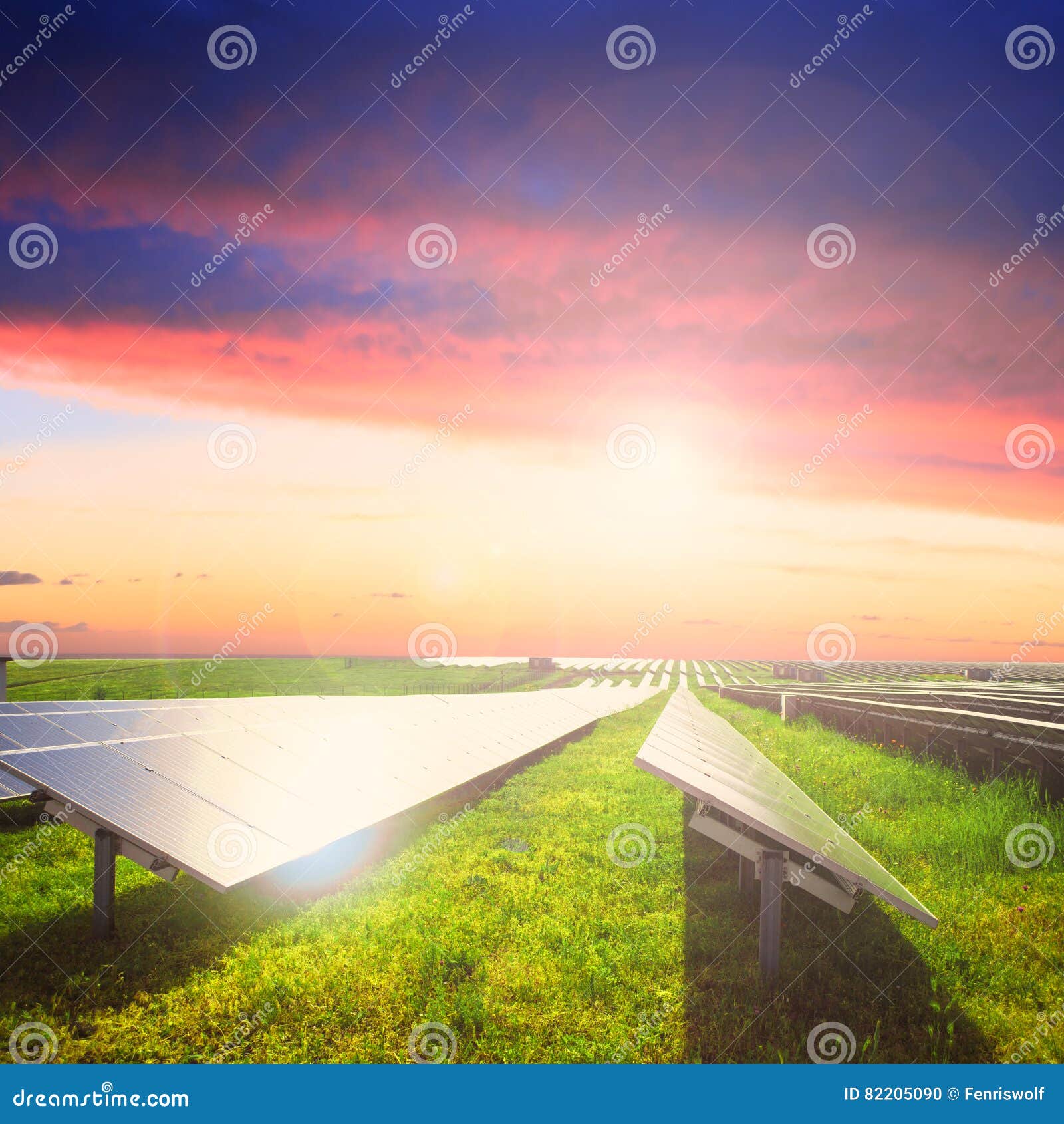 Solar Panels on Green Field Under Sunset Sky Stock Photo - Image of ...