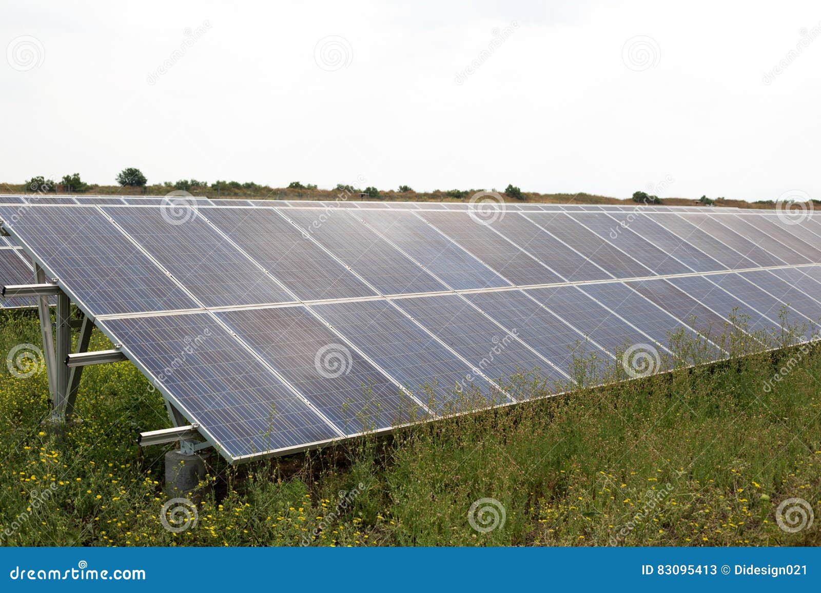 Solar Panels on Green Grass Field Stock Image - Image of ecological ...