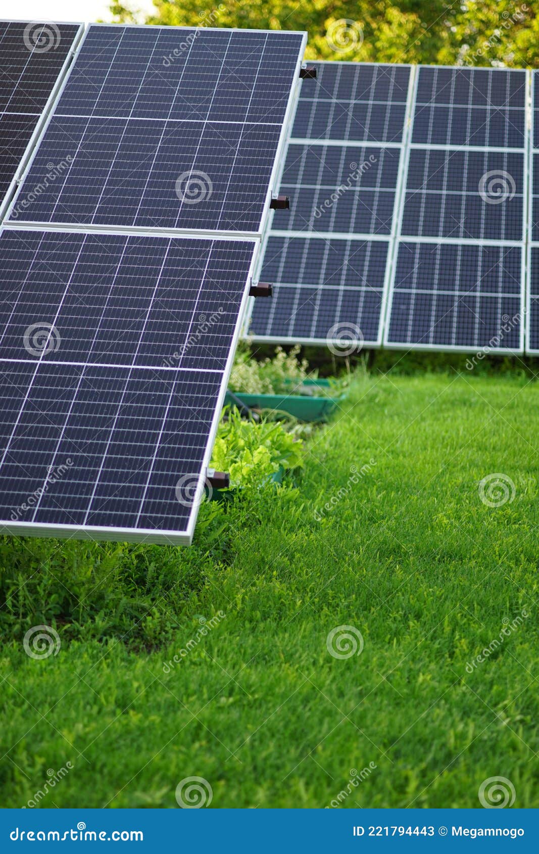 Solar Panels on the Green Grass in Summer Day Stock Image - Image of ...