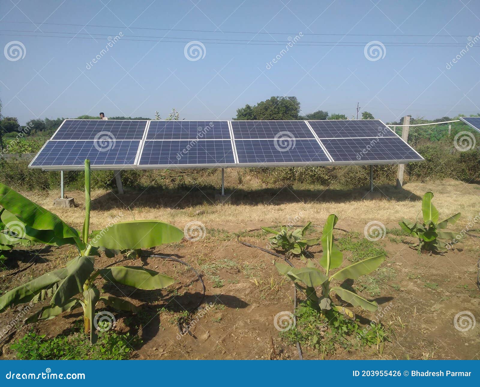 Solar panels Indian stock photo. Image of lawn, crop - 203955426