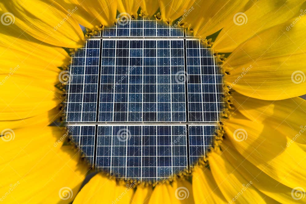 Solar Panels Inside of a Sunflower Stock Photo - Image of generation ...