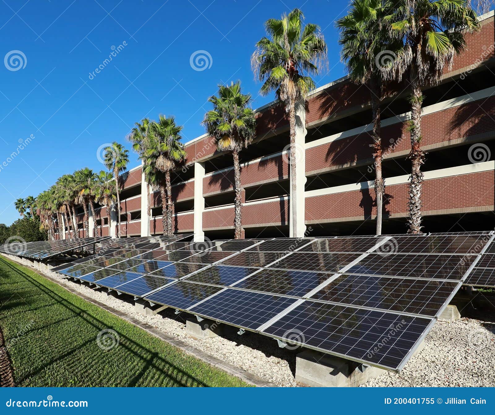 Long line of Solar Panels stock image. Image of innovative - 200401755