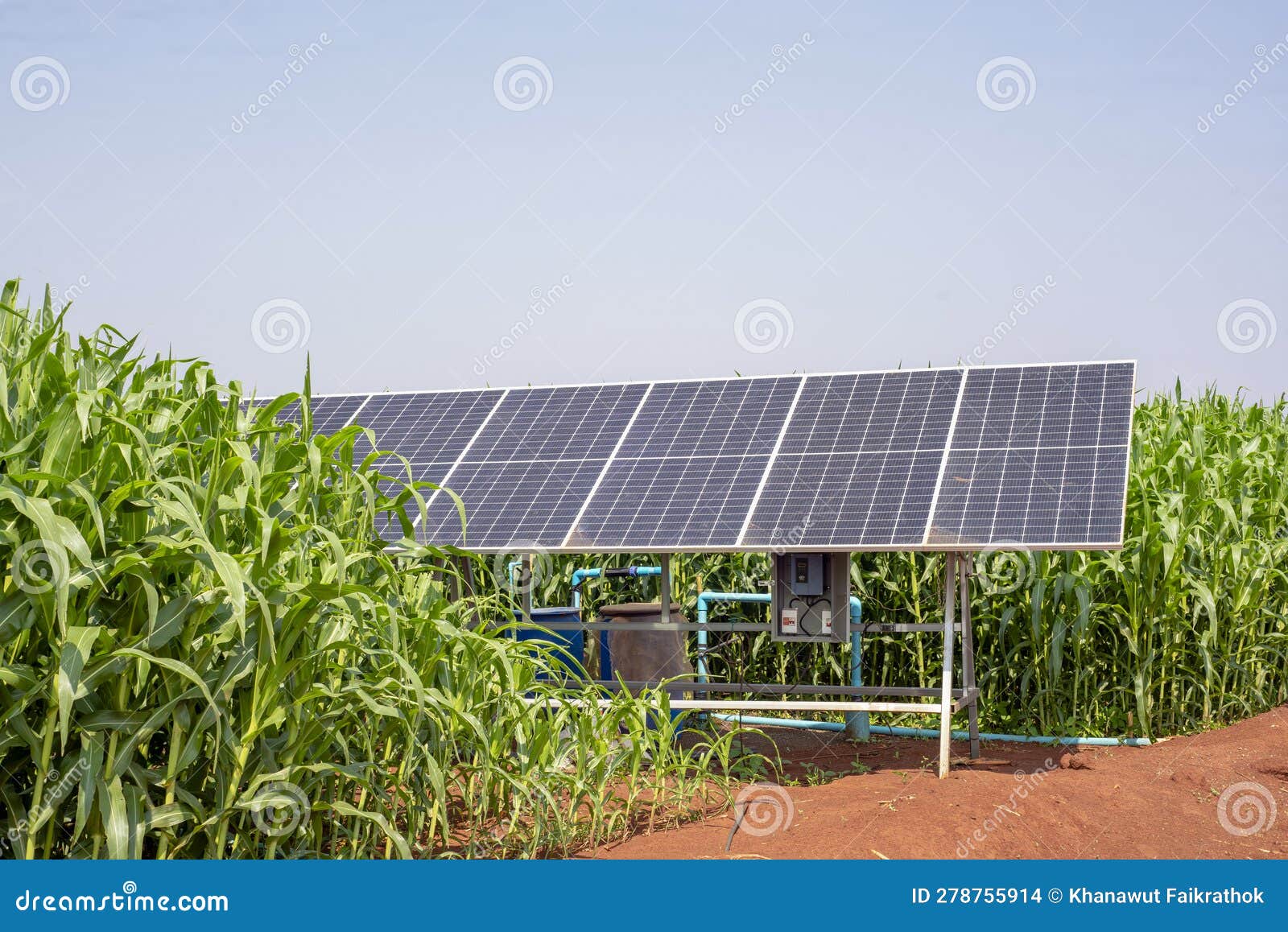 Solar Panels for Irrigation Systems in Farmer S Corn Fields Stock Photo ...
