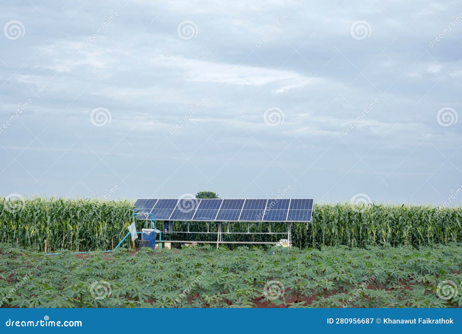 Solar Panels for Irrigation Systems in Farmer S Corn Fields Stock Image ...